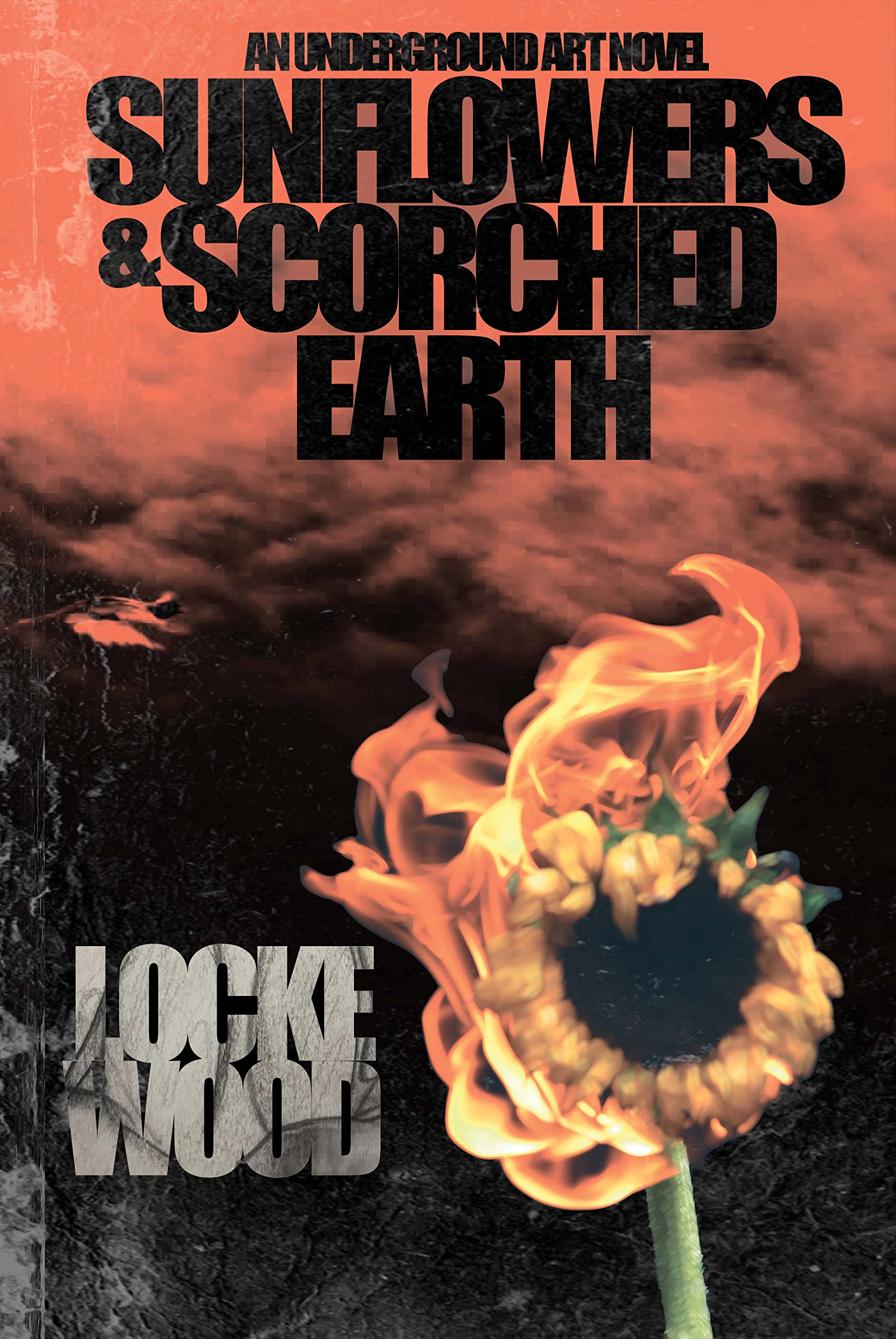 Scorched Earth Pictures From