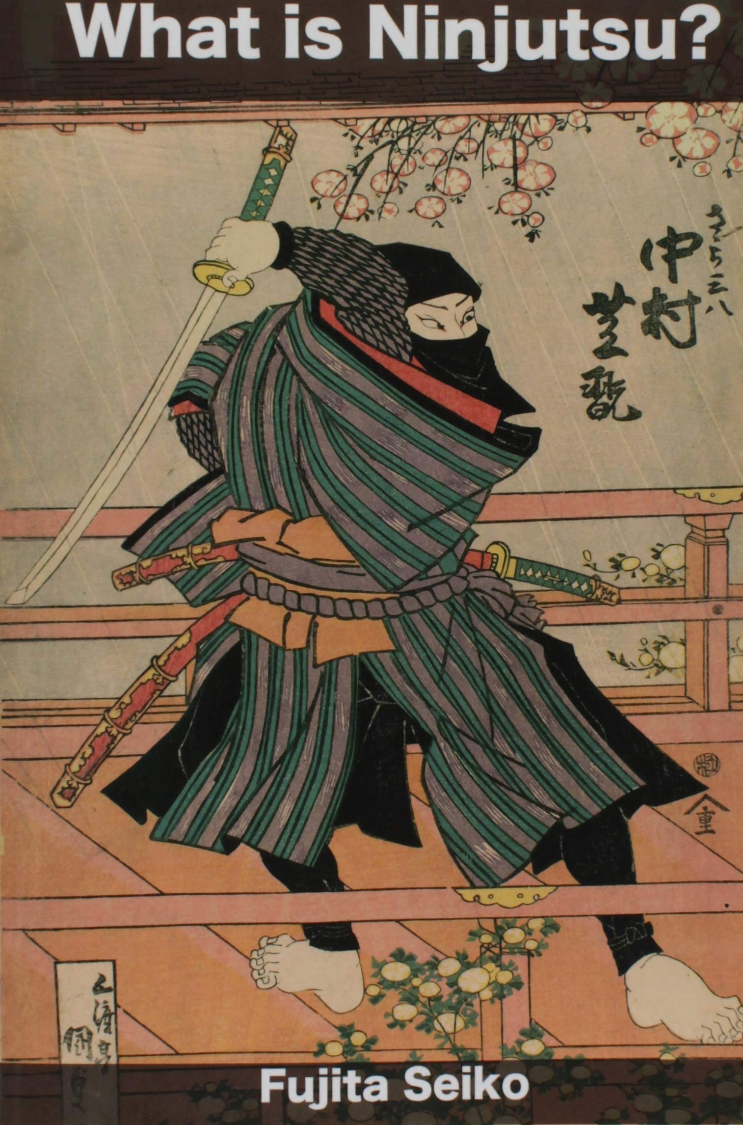 What is Ninjutsu? by Fujita Seiko | Goodreads