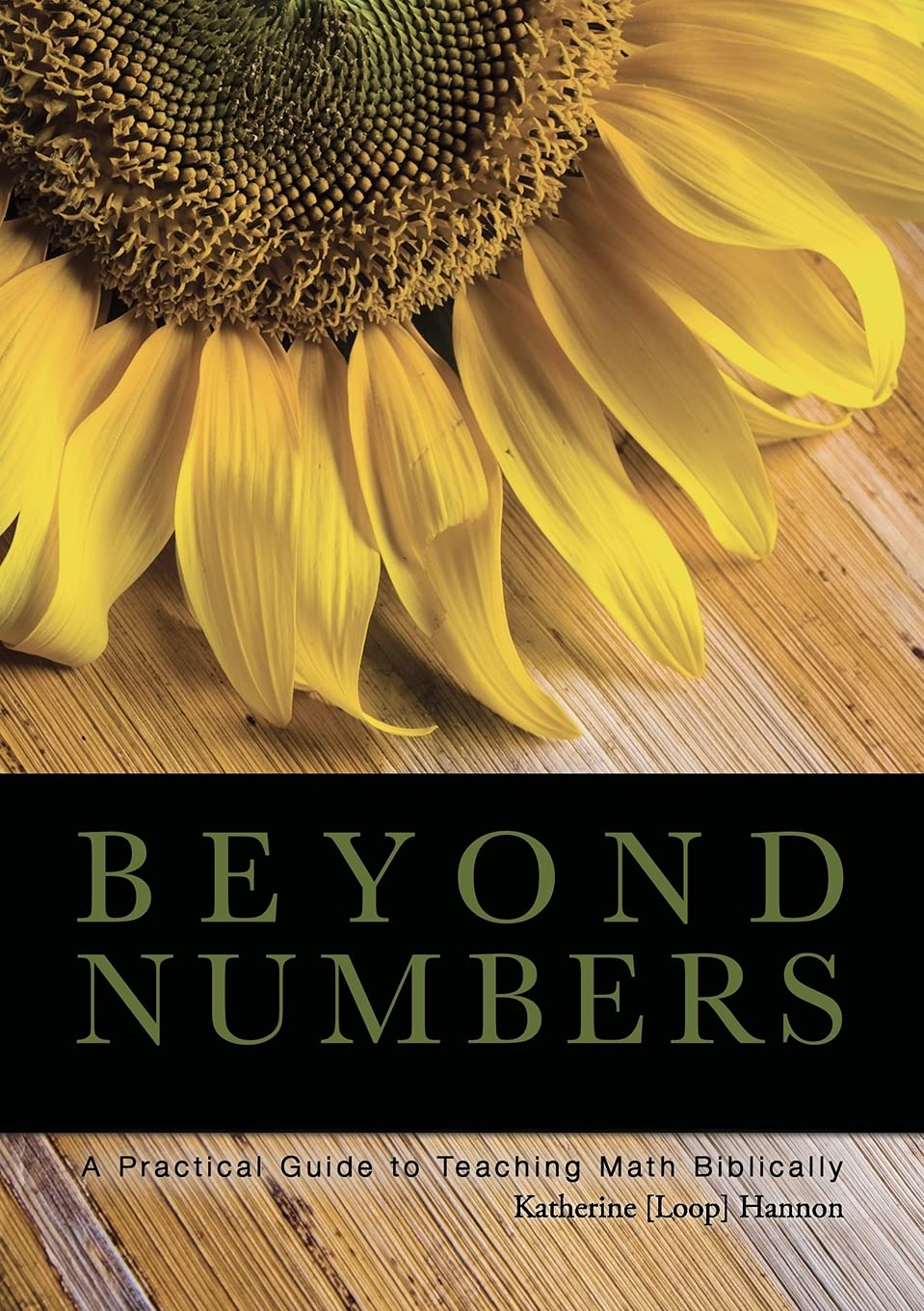 Beyond Numbers: A Practical Guide to Teaching Math Biblically by ...