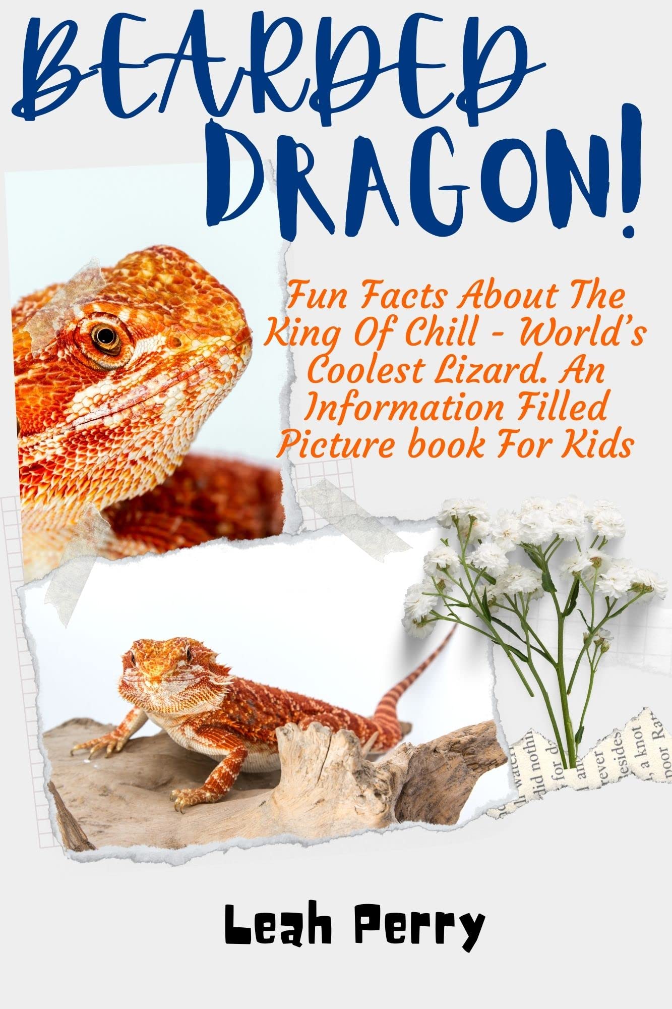 BEARDED DRAGON!: Fun Facts About The King Of Chill - World’s Coolest ...