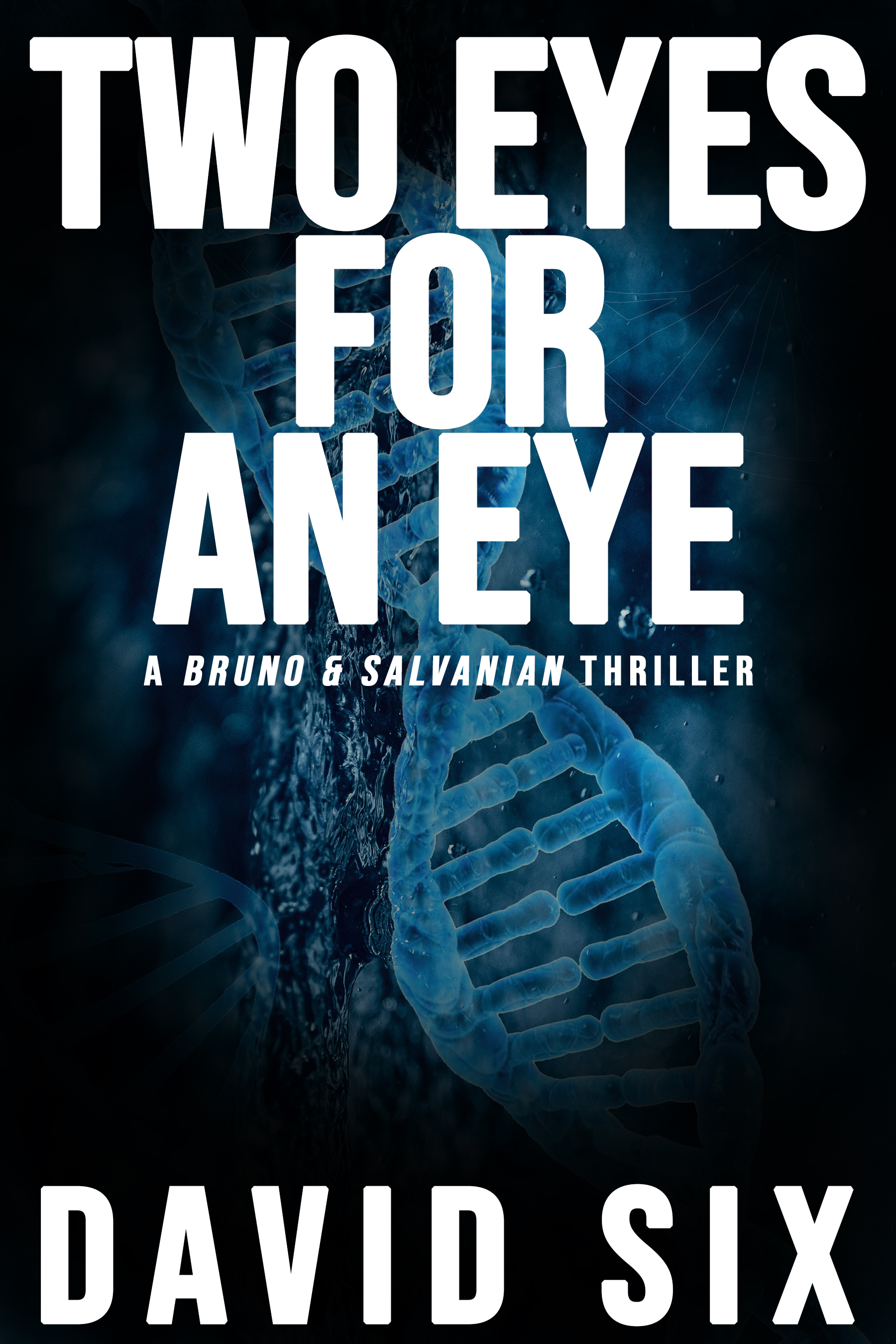 Two Eyes for an Eye - A Bruno & Salvanian Thriller by David Six | Goodreads