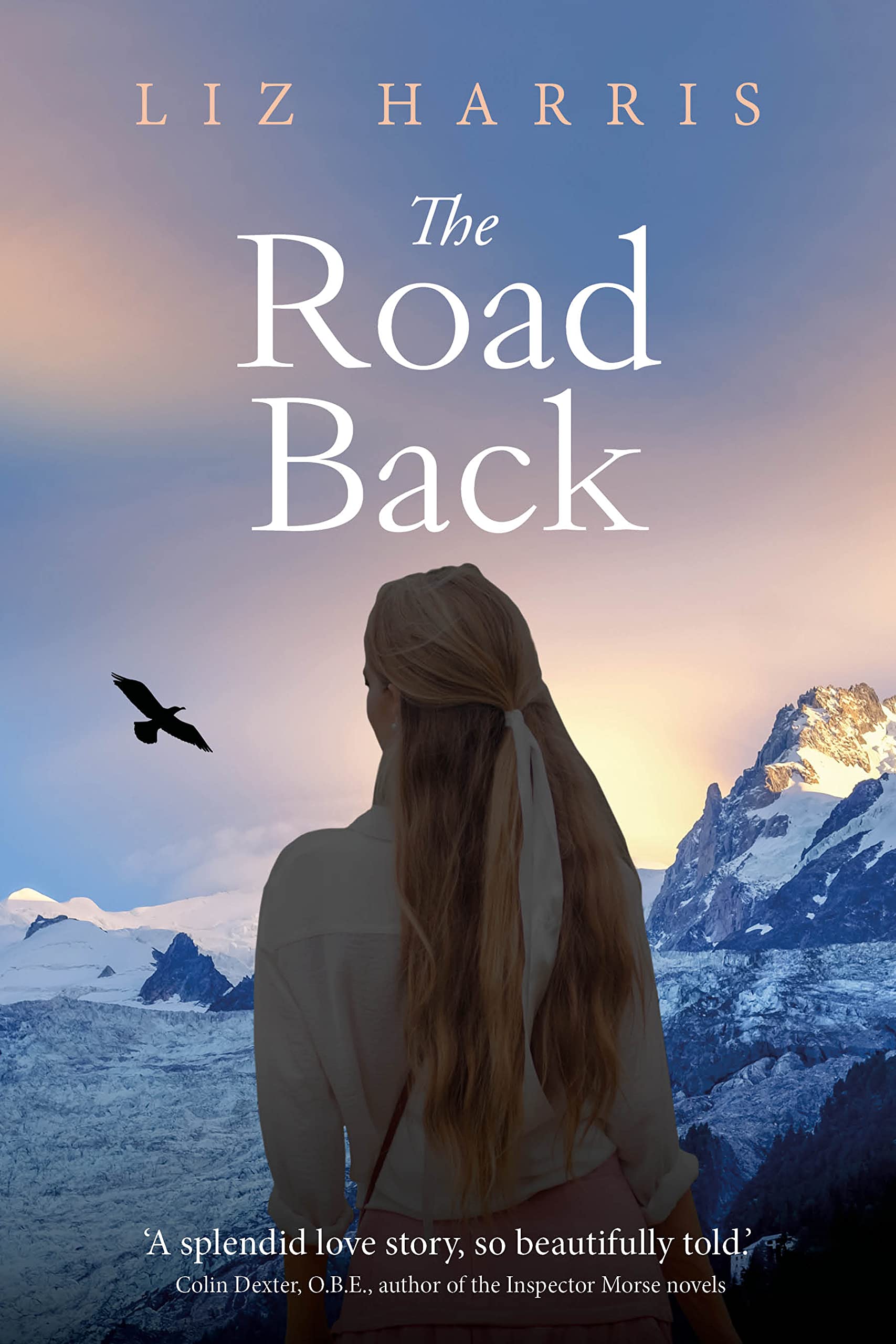 The Road Back (Distant Places) by Liz Harris | Goodreads