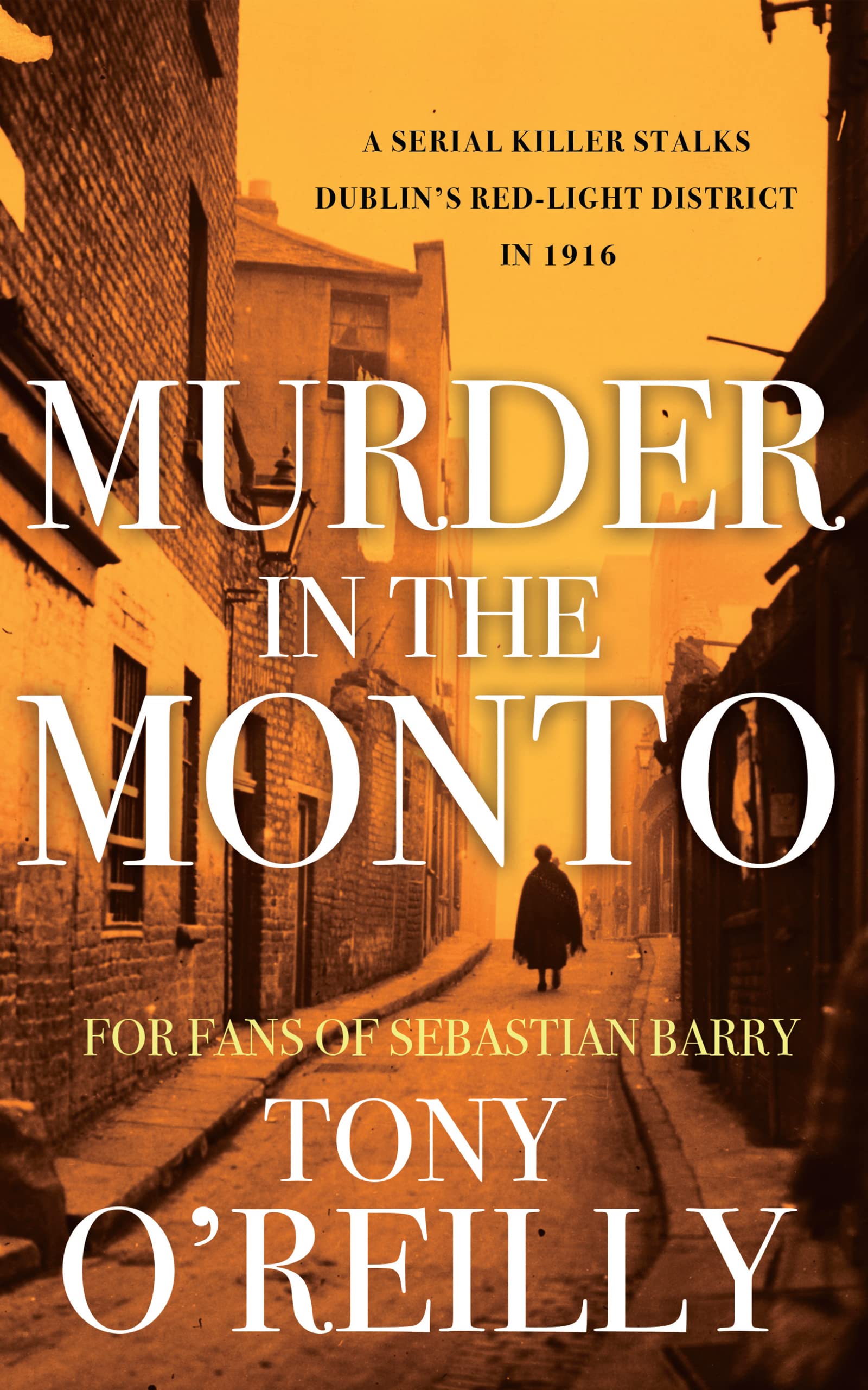 Murder in the Monto : A tense thriller set in the aftermath of the 1916 ...
