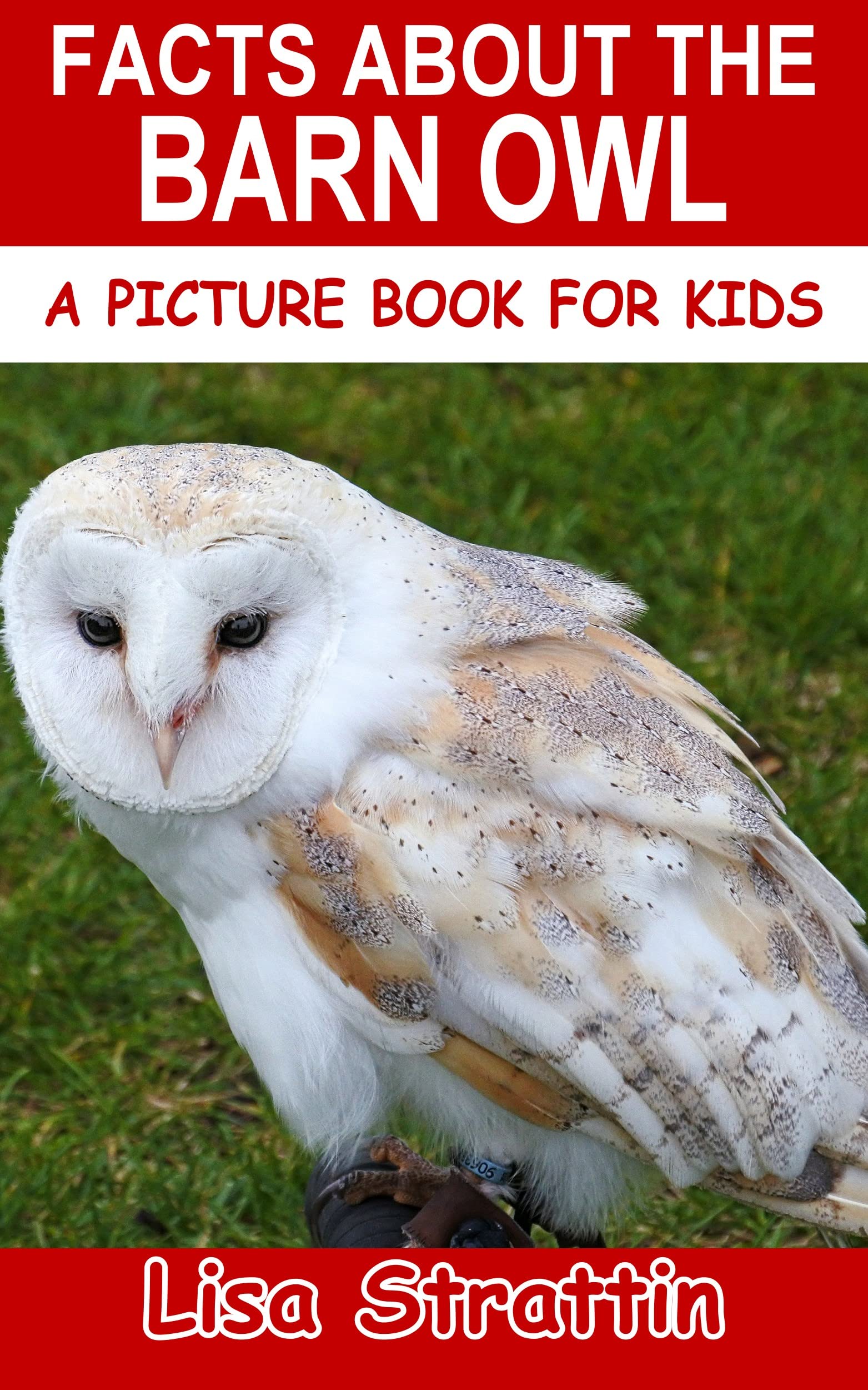 Facts About the Barn Owl by Lisa Strattin | Goodreads