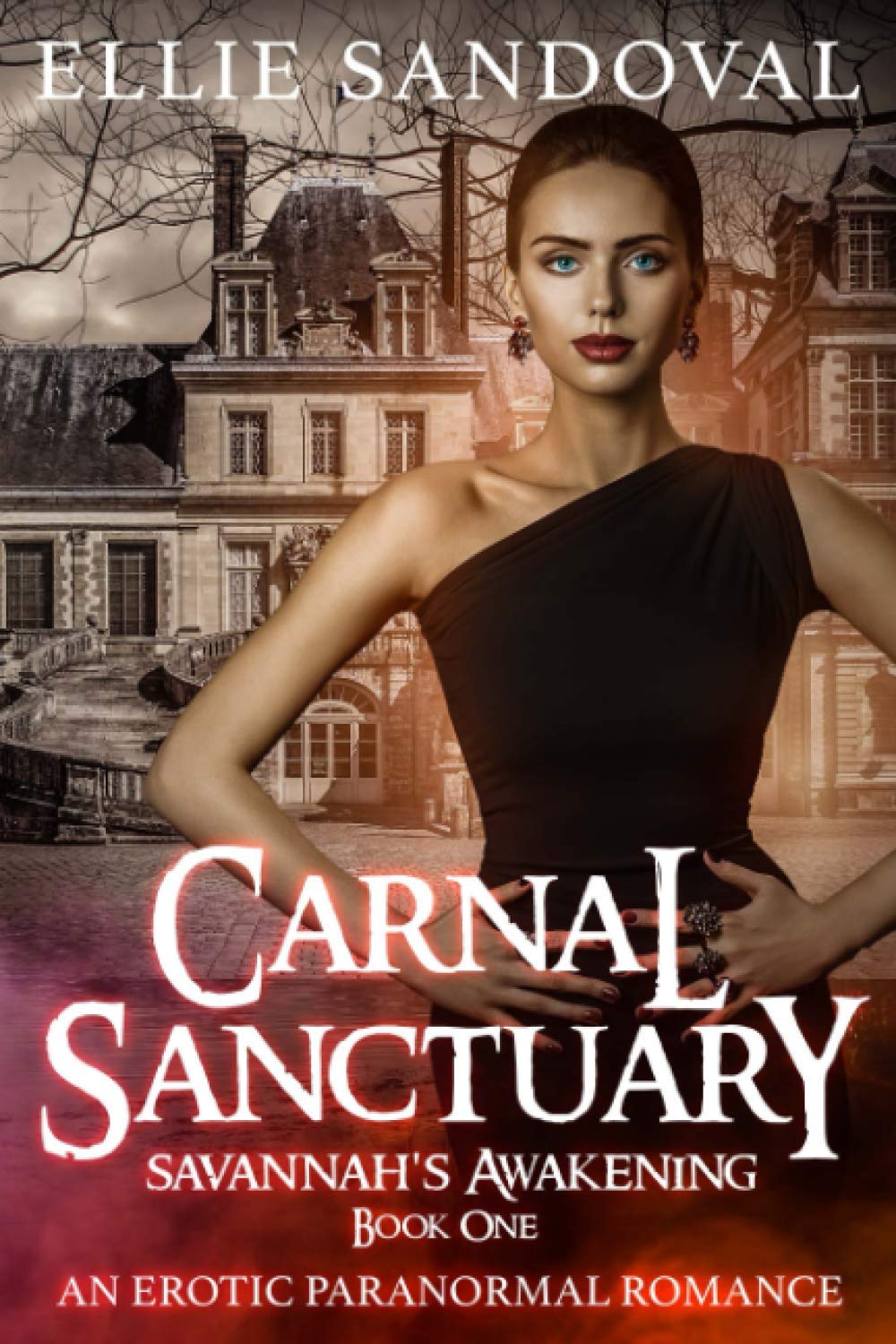 Carnal Sanctuary Book One: Savannah's Awakening - An Erotic Paranormal ...