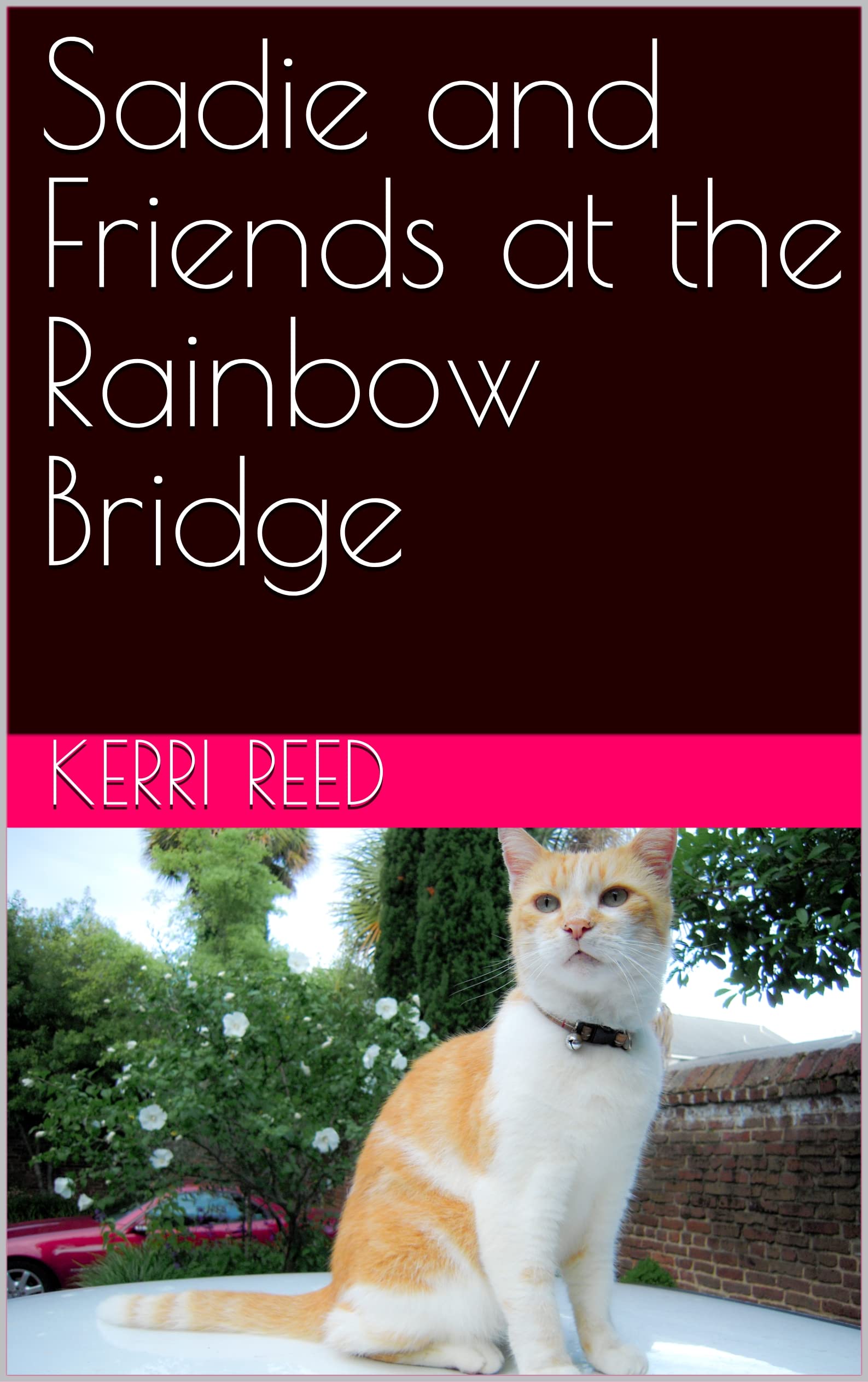 Sadie and Friends at the Rainbow Bridge by Kerri Reed | Goodreads
