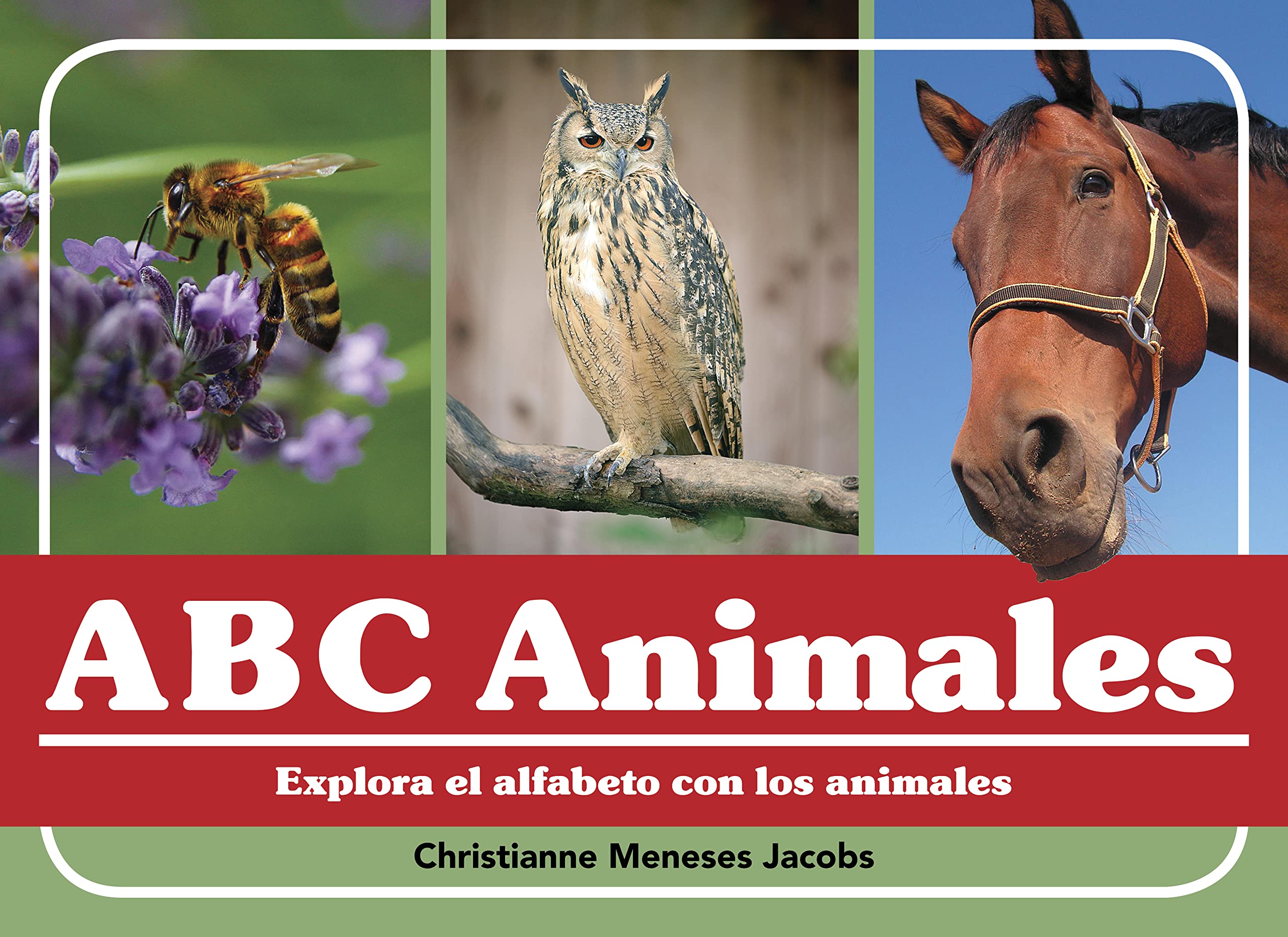ABC Animales: Explora el alfabeto con los animales by Christianne ...
