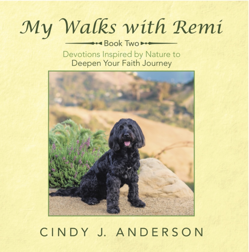 My Walks with Remi - Book Two: Devotions Inspired by Nature to Deepen ...