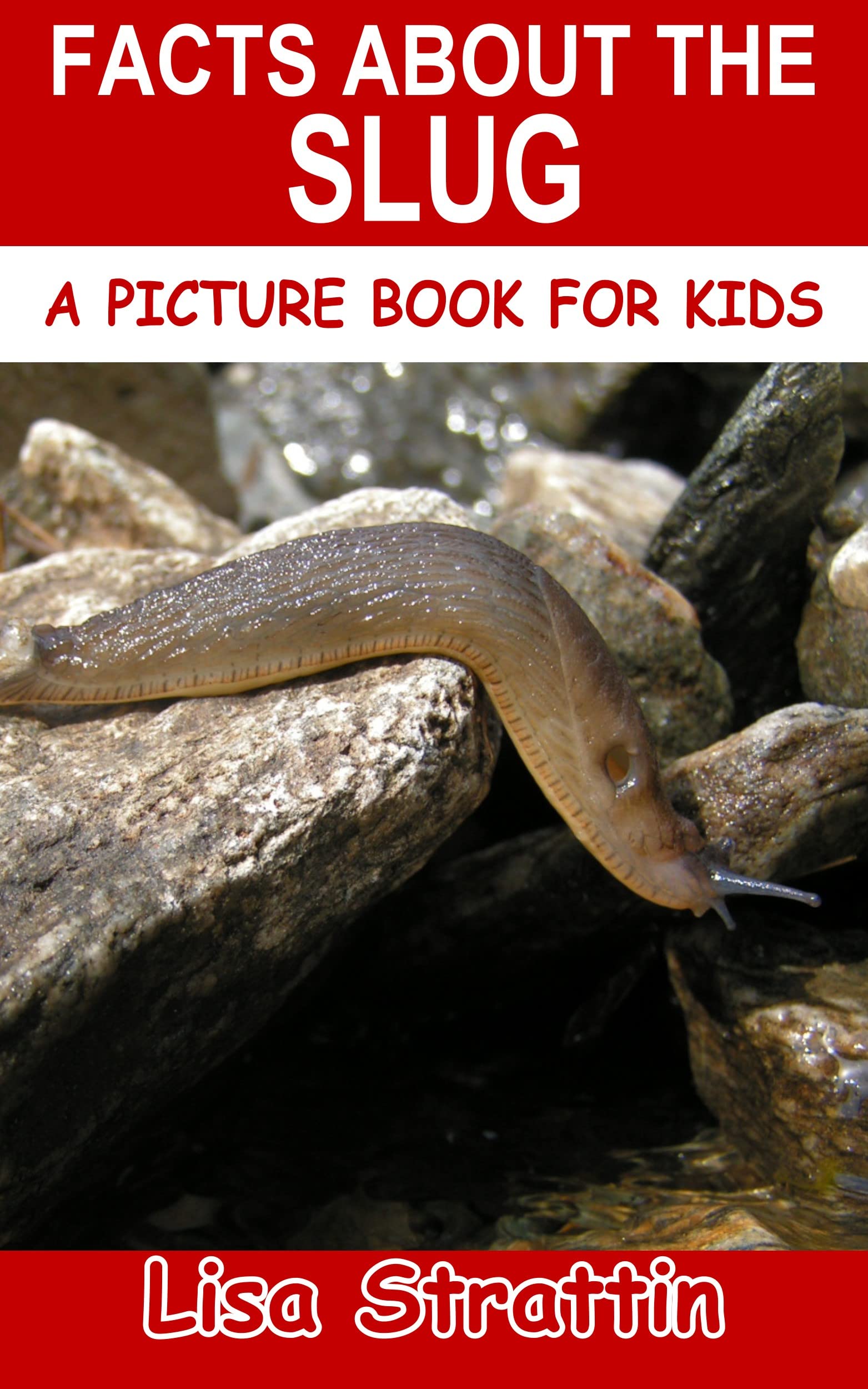 Facts About the Slug (A Picture Book For Kids 487) by Lisa Strattin ...