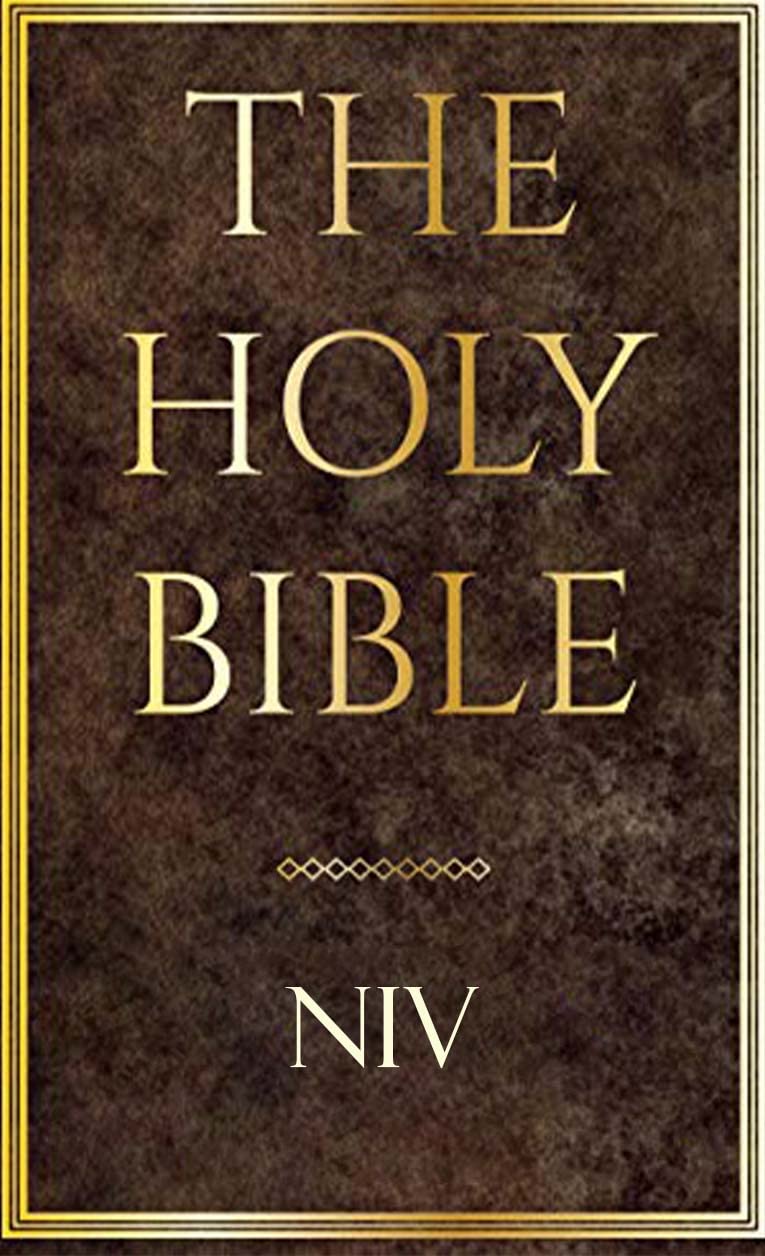 The HOLy Bible New International Version , The New Edition Of 2022 by ...