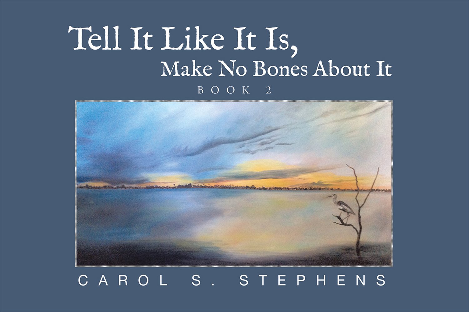 Tell It Like It Is, Make No Bones About It: Book 2 by Carol S. Stephens ...