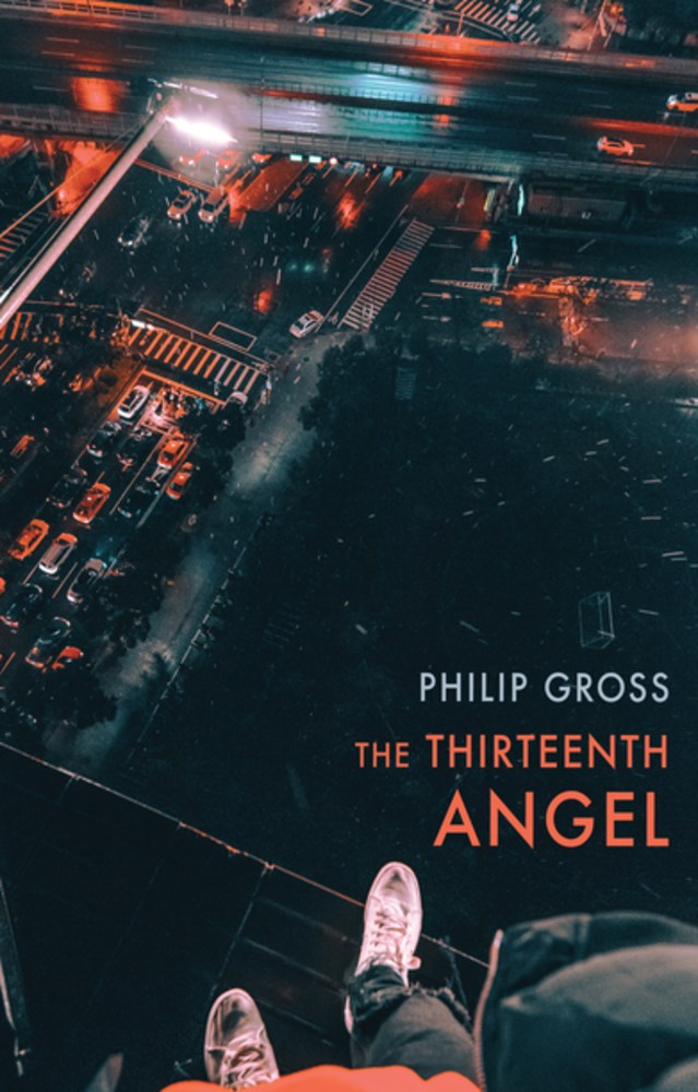 The Thirteenth Angel by Philip Gross | Goodreads