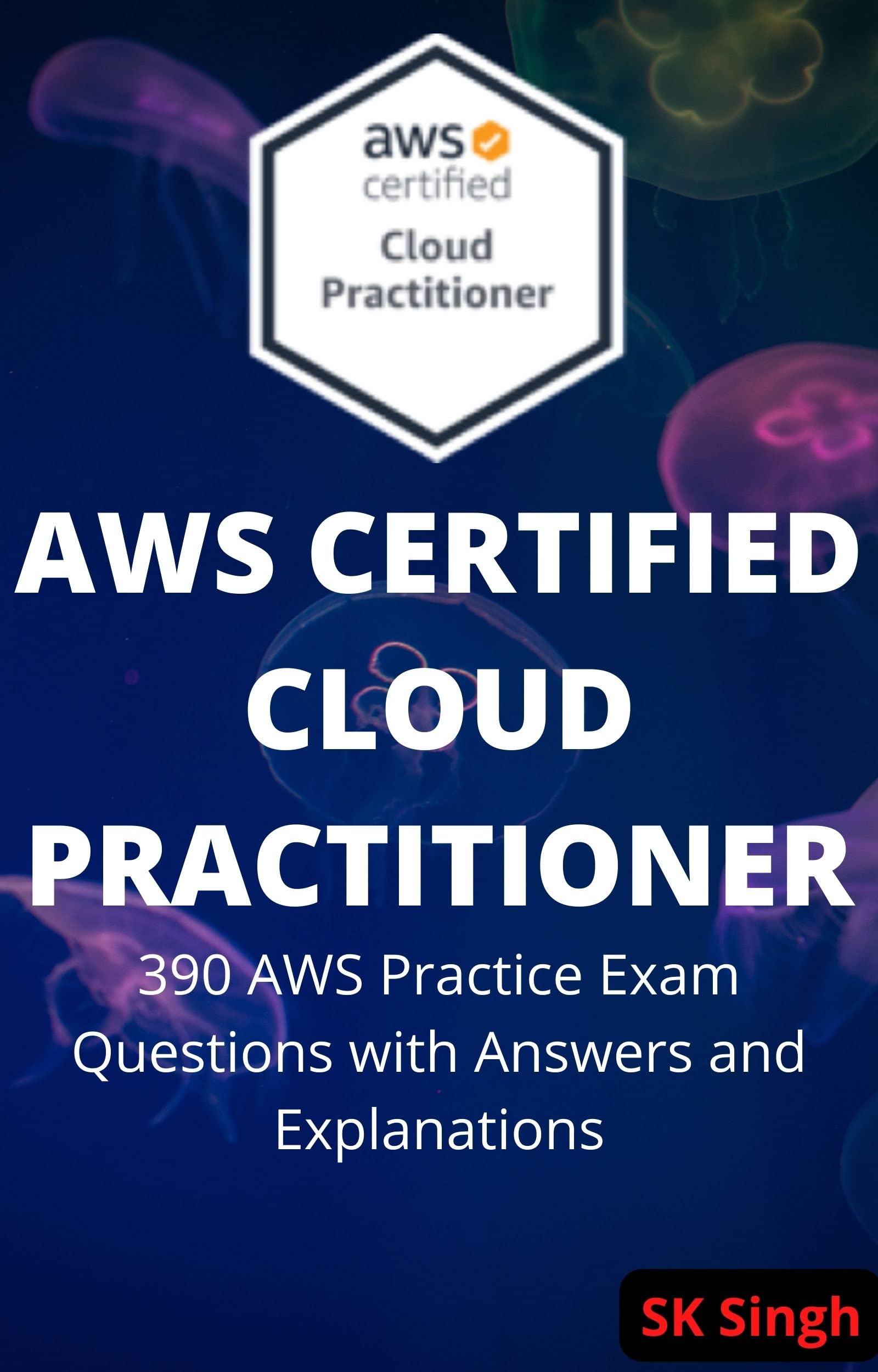 AWS Certified Cloud Practitioner Exam (CLF-C02) Practice Tests: 900 ...