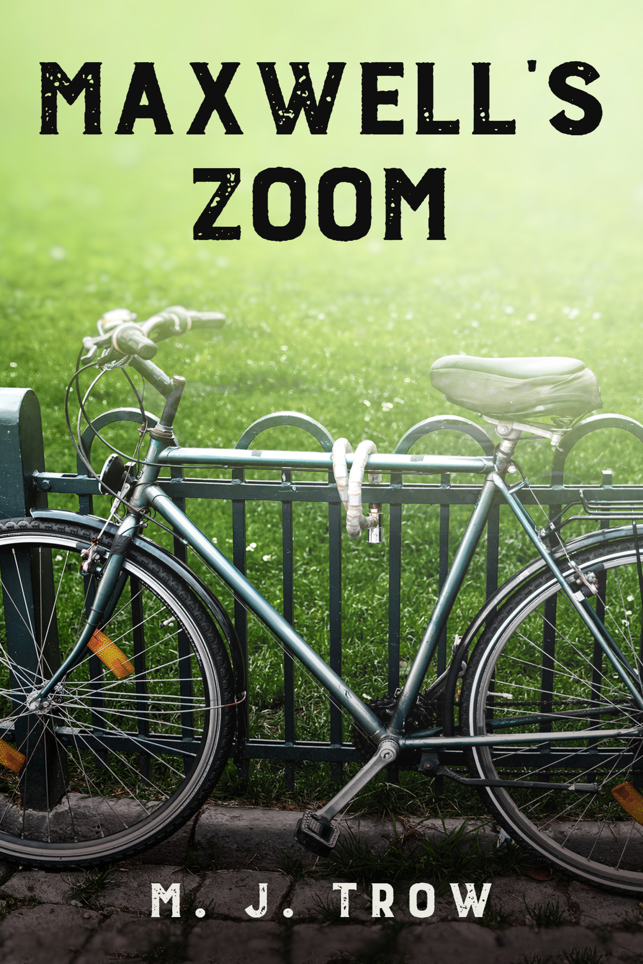 Maxwell's Zoom (Peter Maxwell Mystery #21) by M.J. Trow | Goodreads