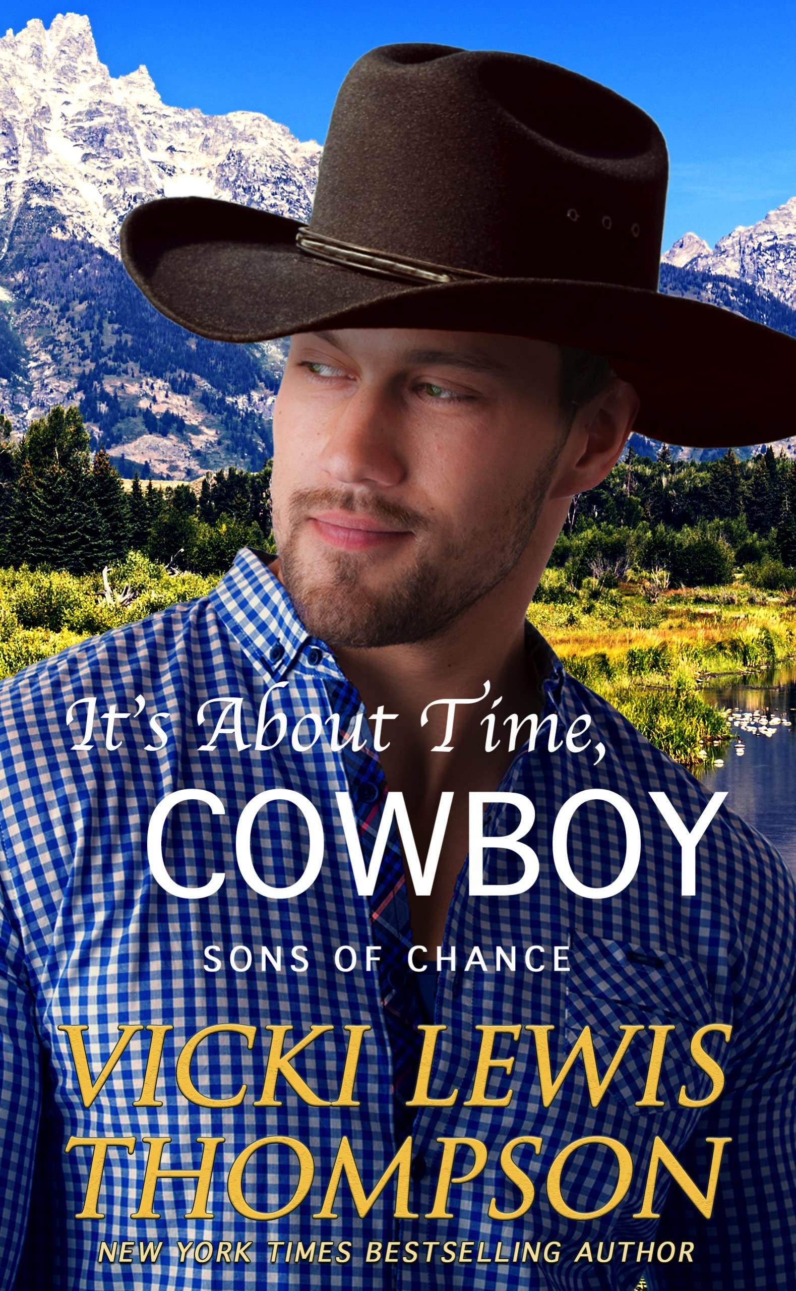 It's About Time, Cowboy (Sons of Chance) by Vicki Lewis Thompson ...