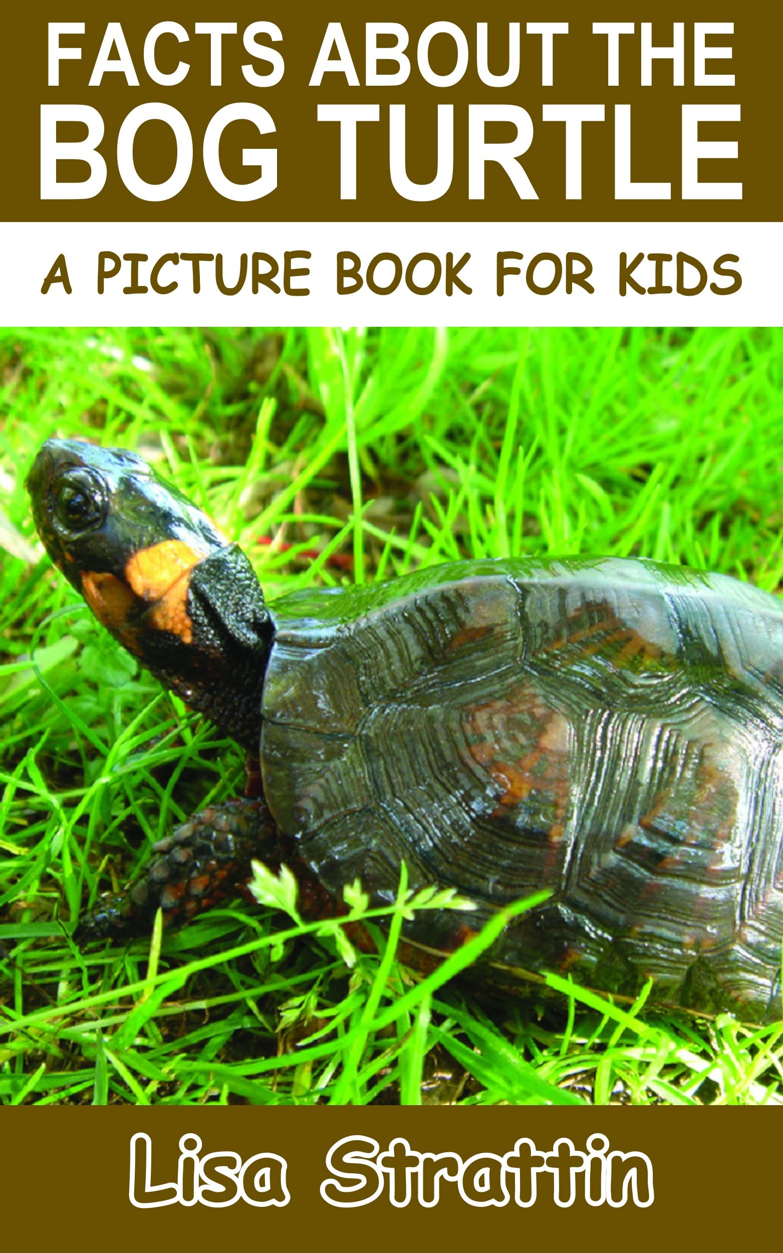 Facts About the Bog Turtle by Lisa Strattin | Goodreads
