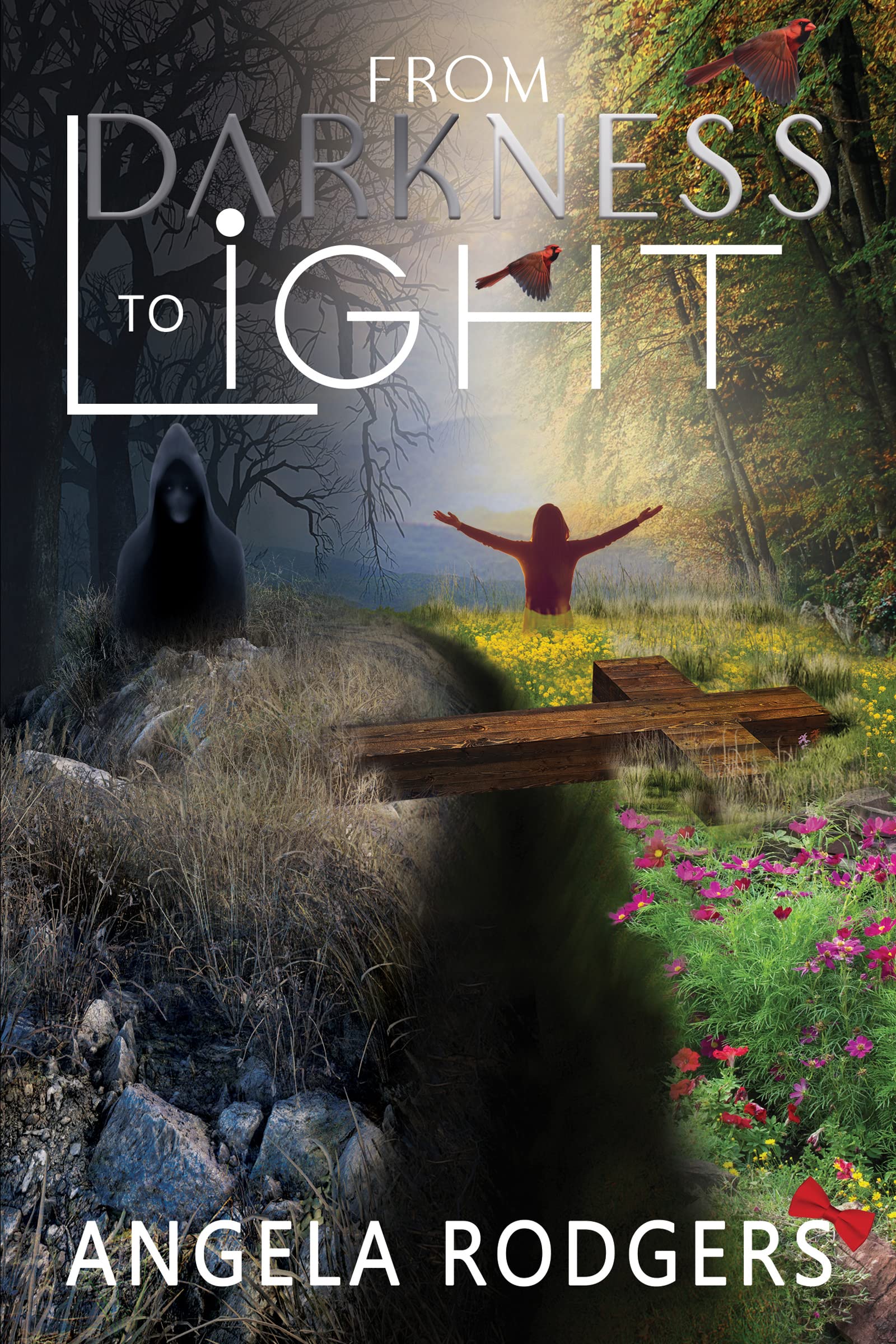 From Darkness to Light by Angela Rodgers | Goodreads