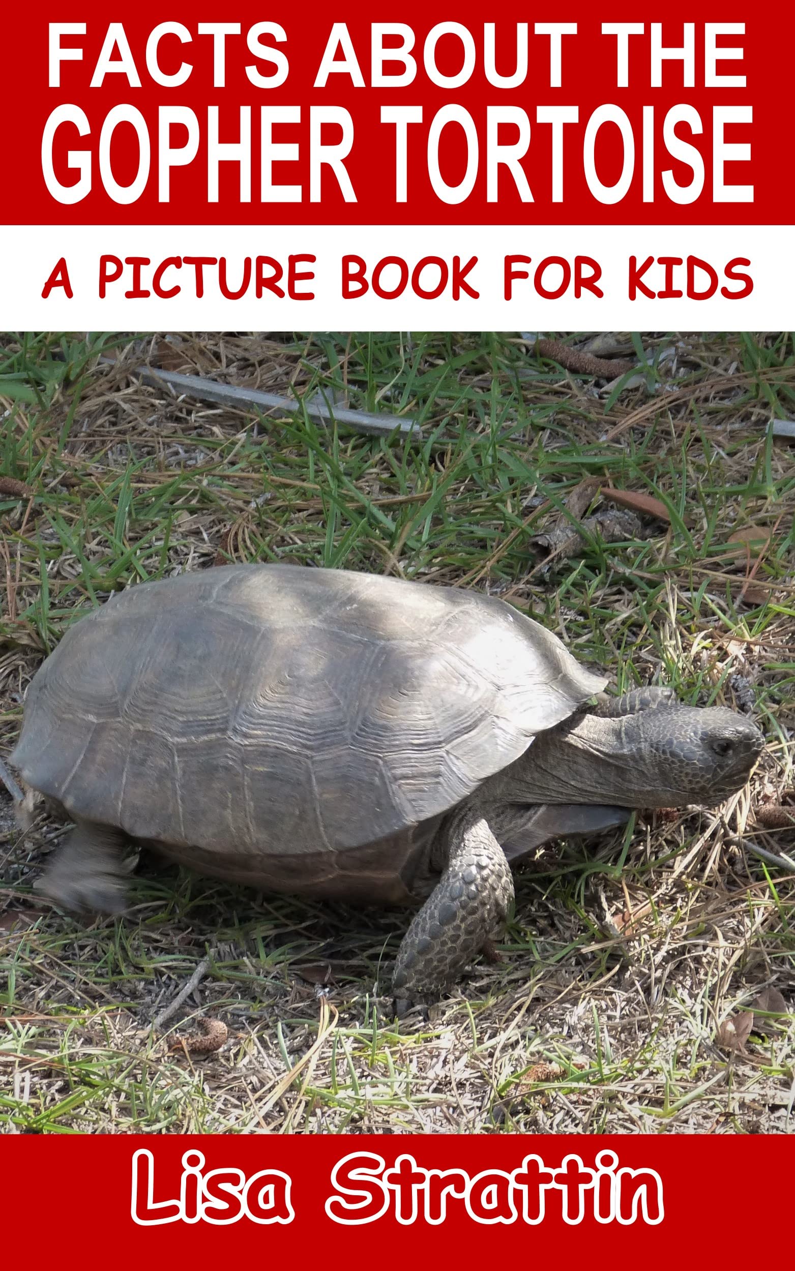 Facts About the Gopher Tortoise by Lisa Strattin | Goodreads
