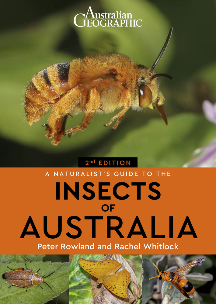 A Naturalist's Guide to the Insects of Australia by Peter Rowland ...