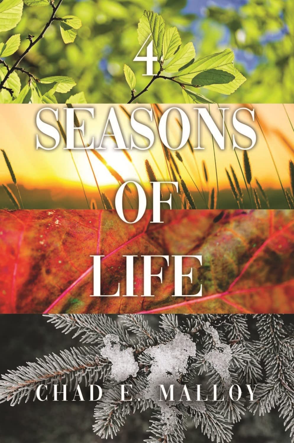 4 Seasons of Life by Chad E. Malloy | Goodreads