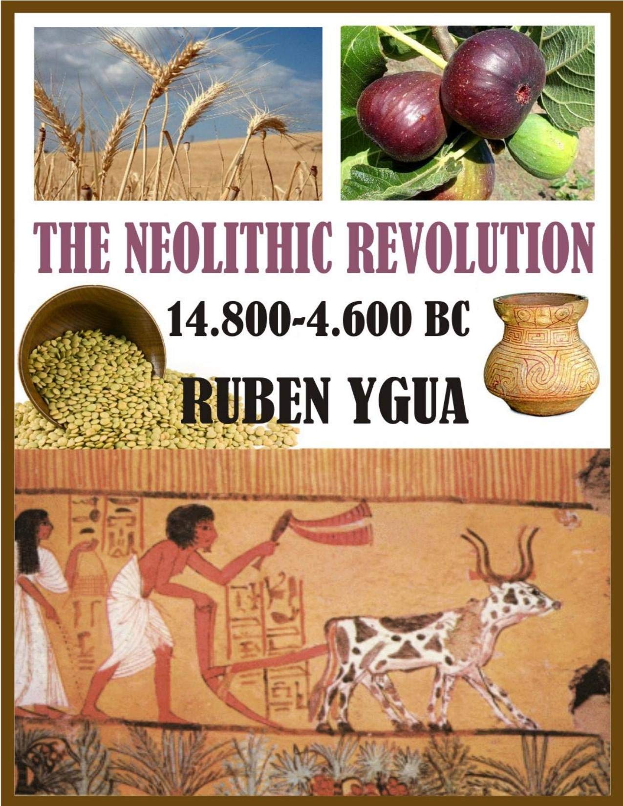 THE NEOLITHIC REVOLUTION by Ruben Ygua | Goodreads
