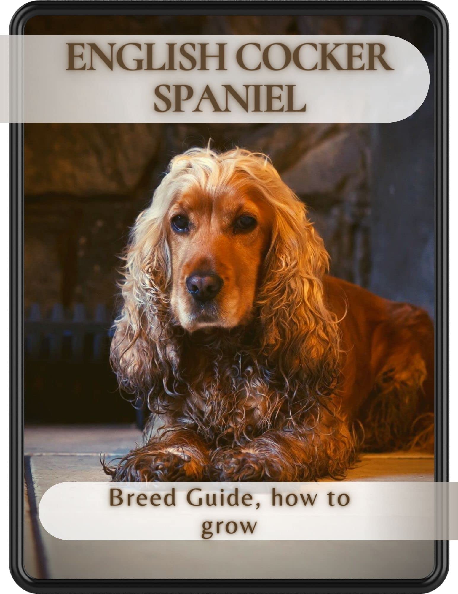 English Cocker Spaniel: Breed Guide, how to grow by Alita Bogatova ...