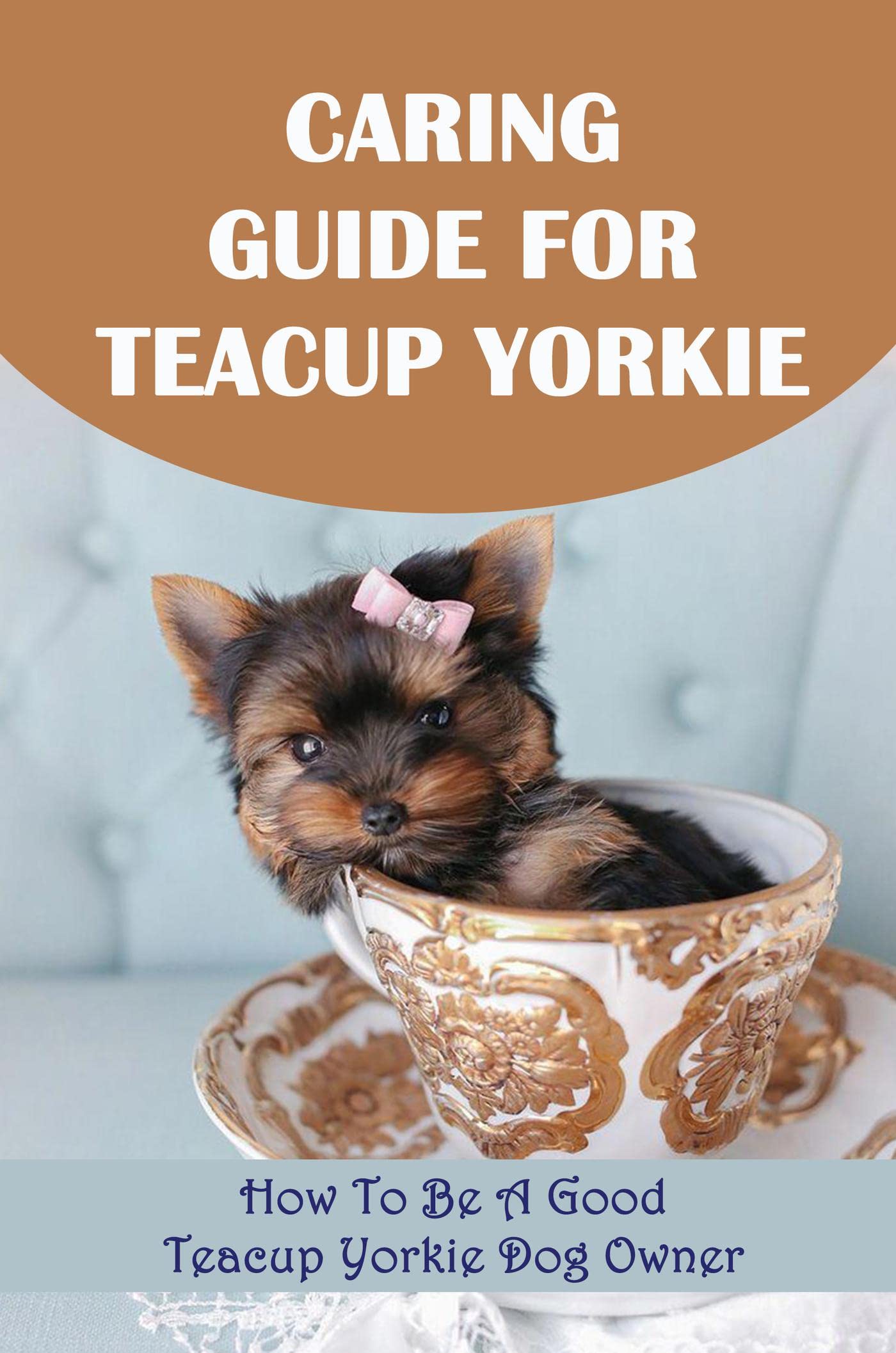 Caring Guide For Teacup Yorkie: How To Be A Good Teacup Yorkie Dog ...