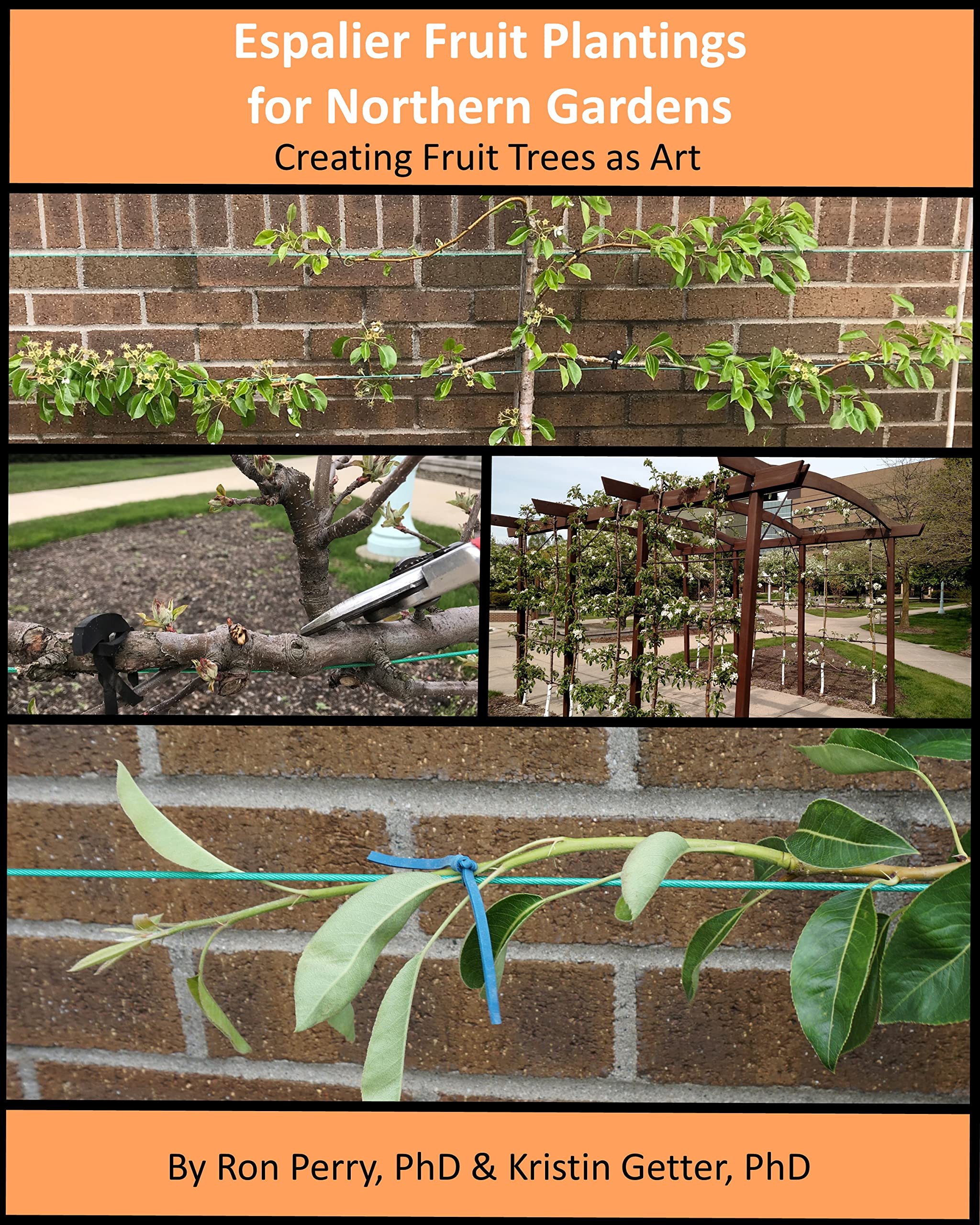 Espalier Fruit Plantings for Northern Gardens: Creating Fruit Trees as ...