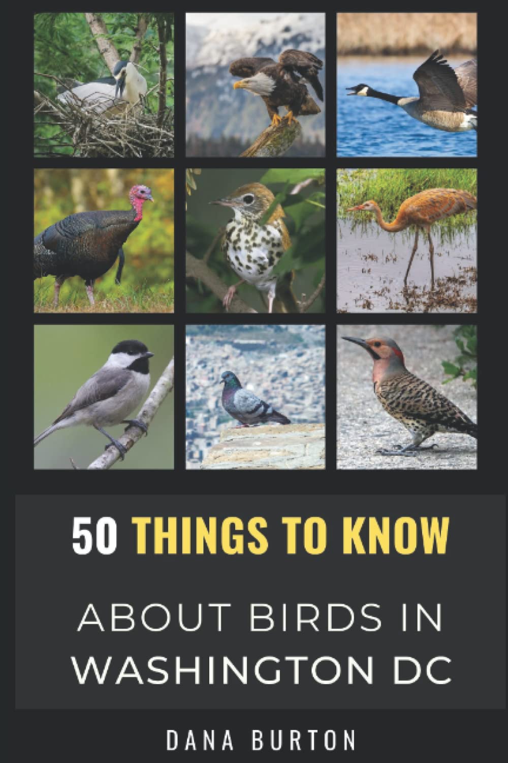 50 Things to Know About Birds in Washington District of Columbia ...