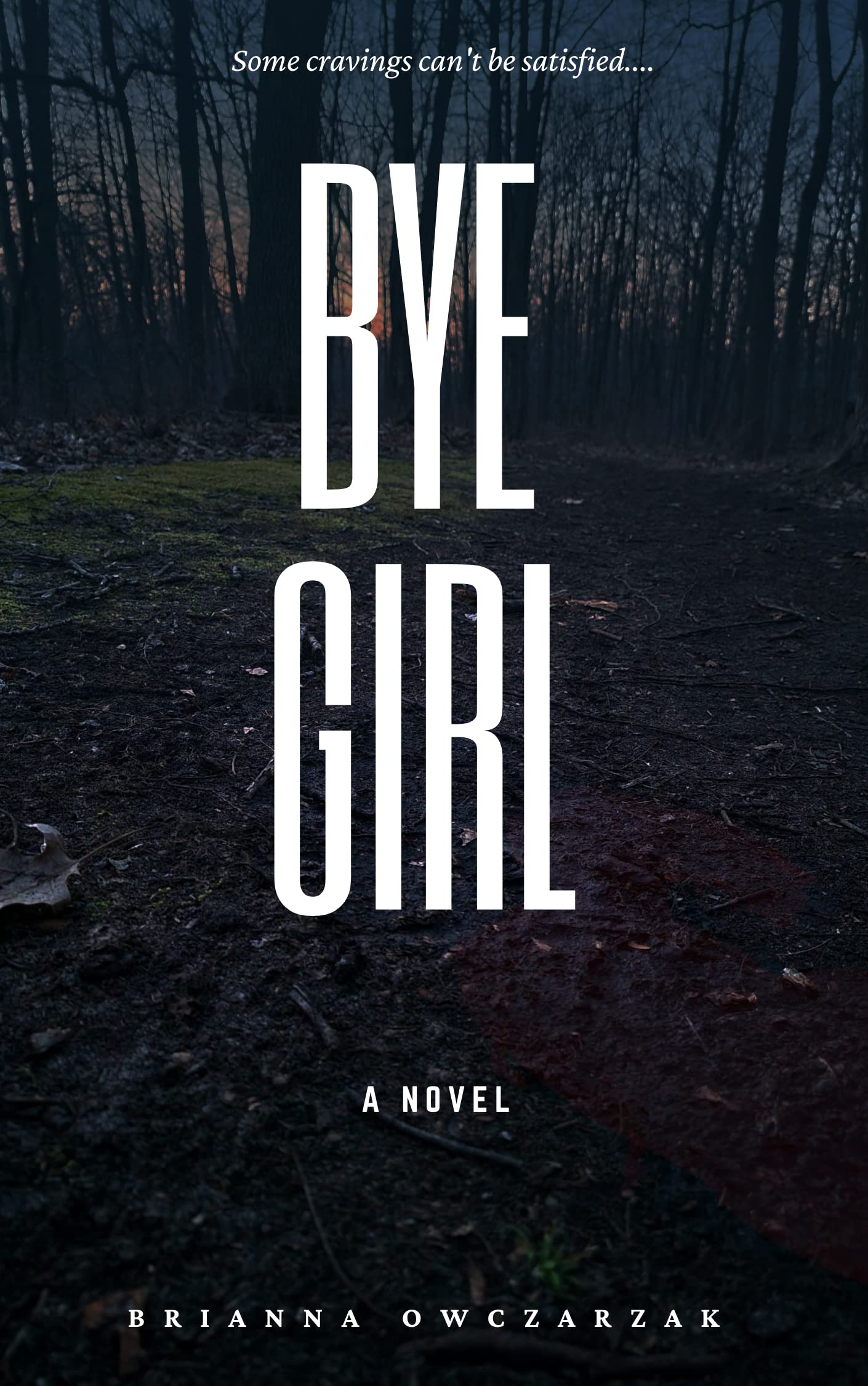 Bye, Girl by Brianna Owczarzak | Goodreads