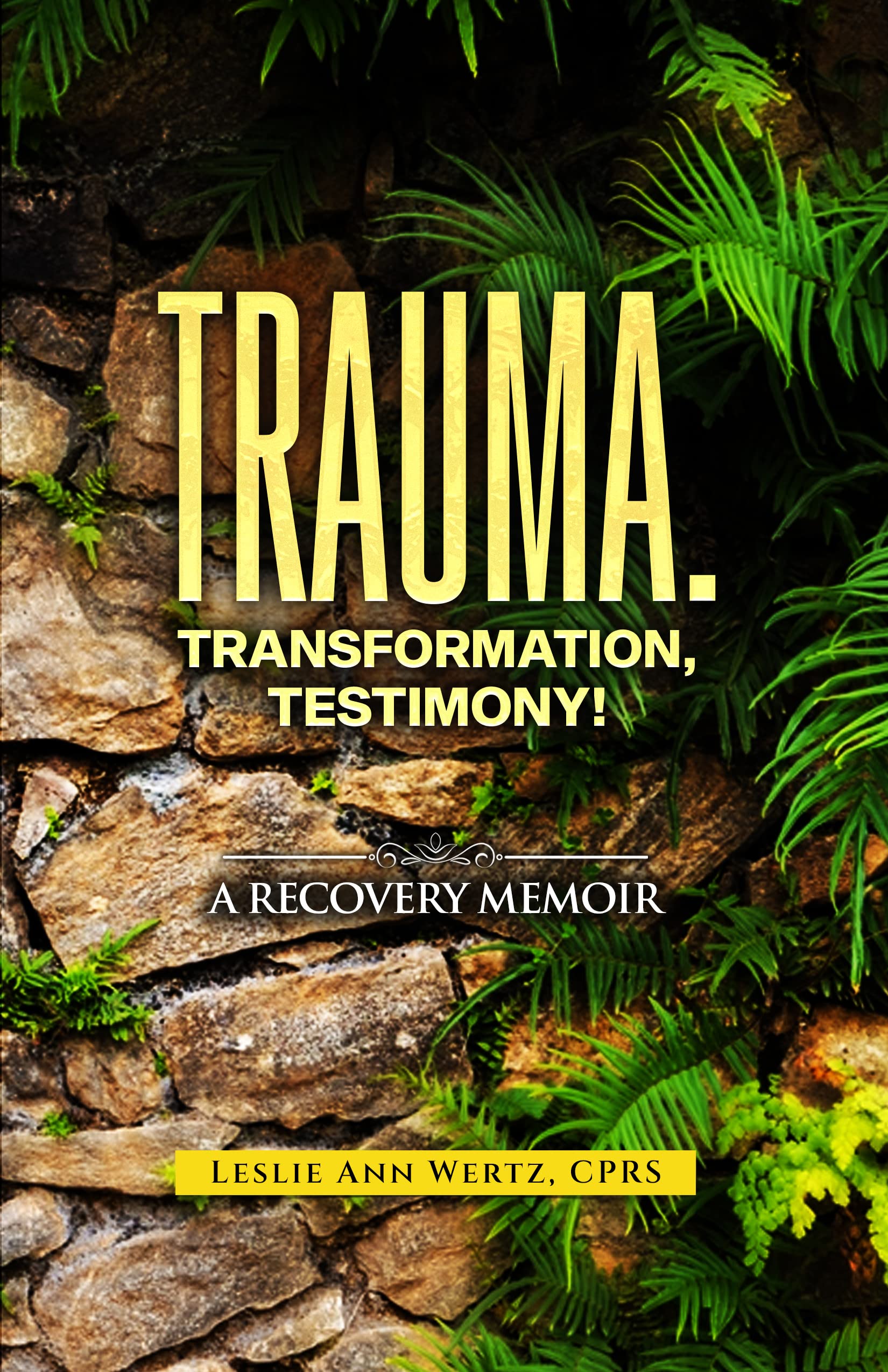 Trauma. Transformation, Testimony!: A Recovery Memoir by Leslie Ann ...