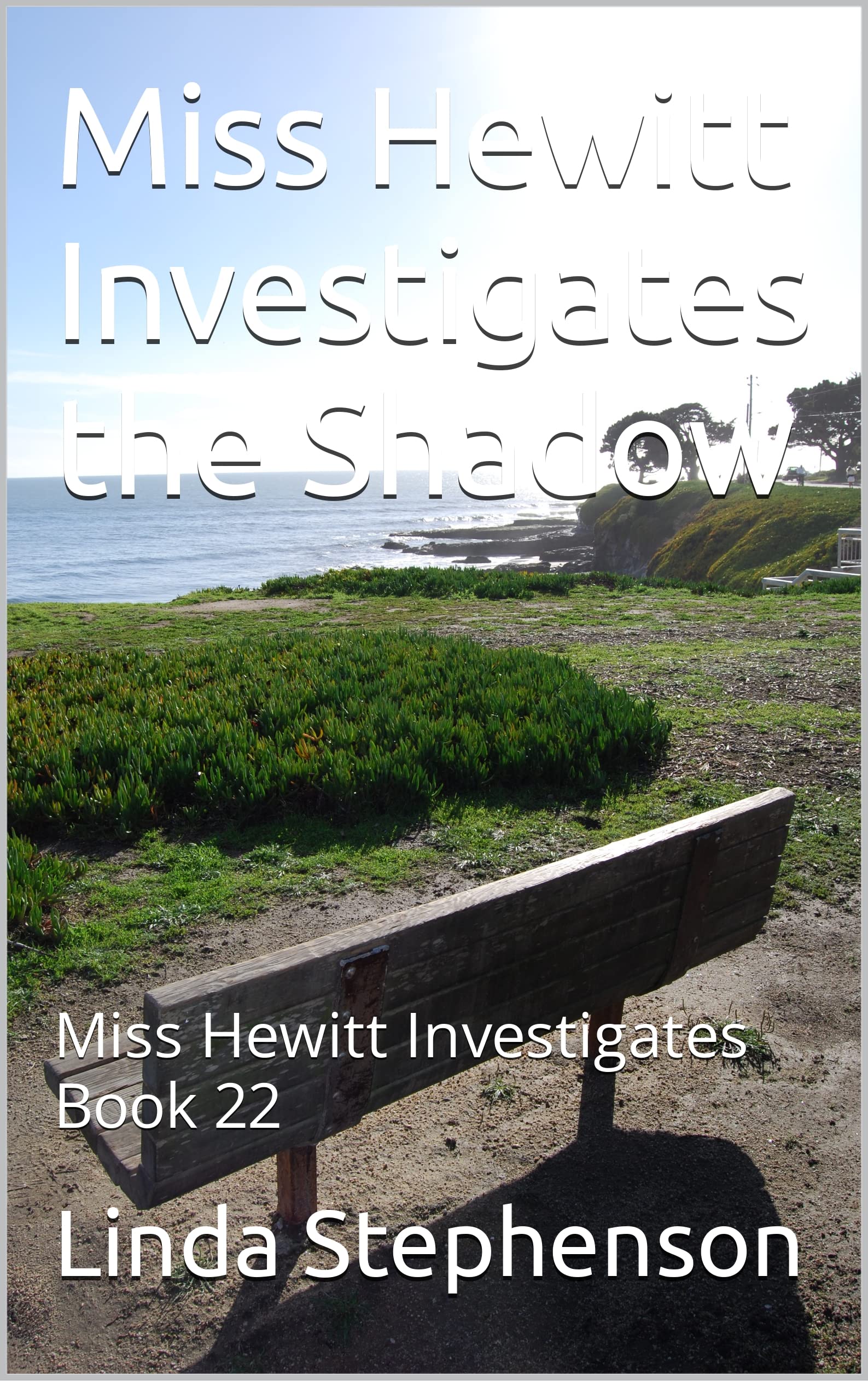 Miss Hewitt Investigates the Shadow: Miss Hewitt Investigates Book 22 ...