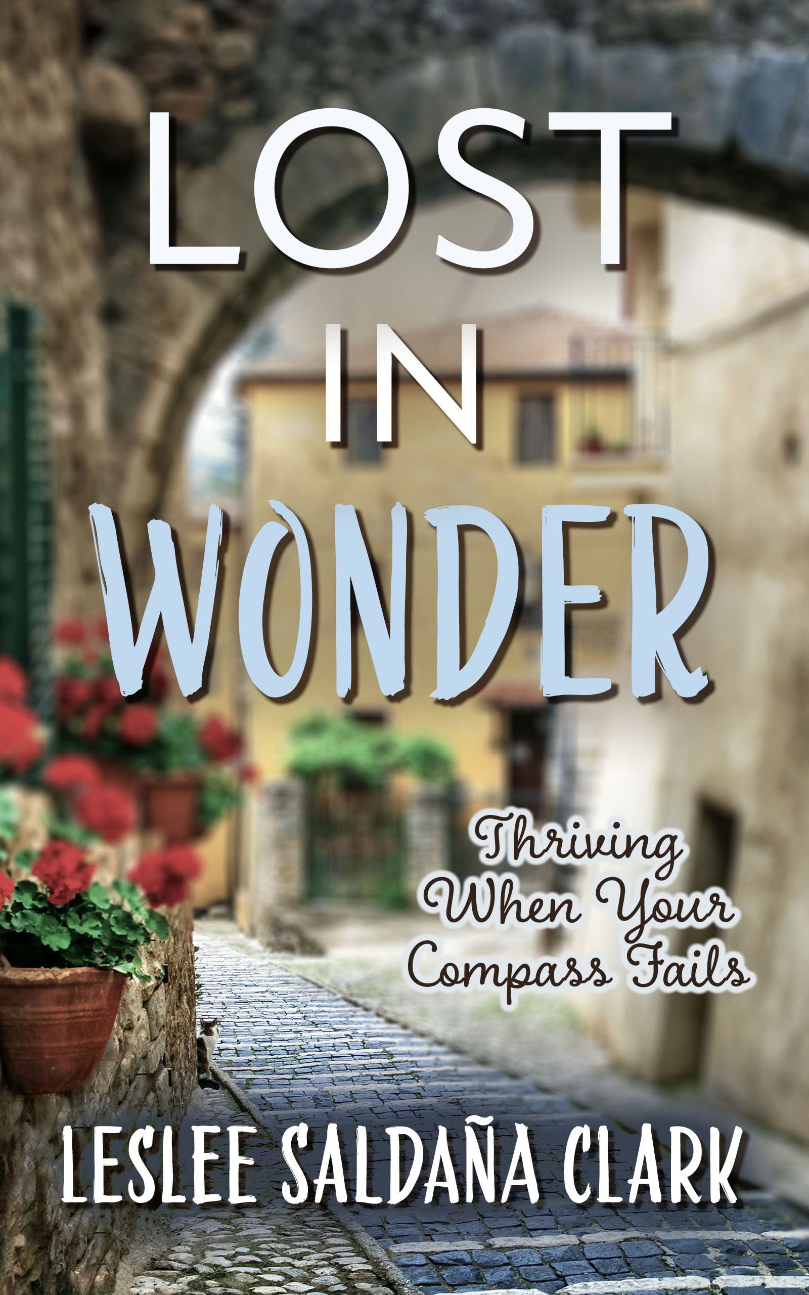 Lost in Wonder: Thriving When Your Compass Fails by leslee clark ...