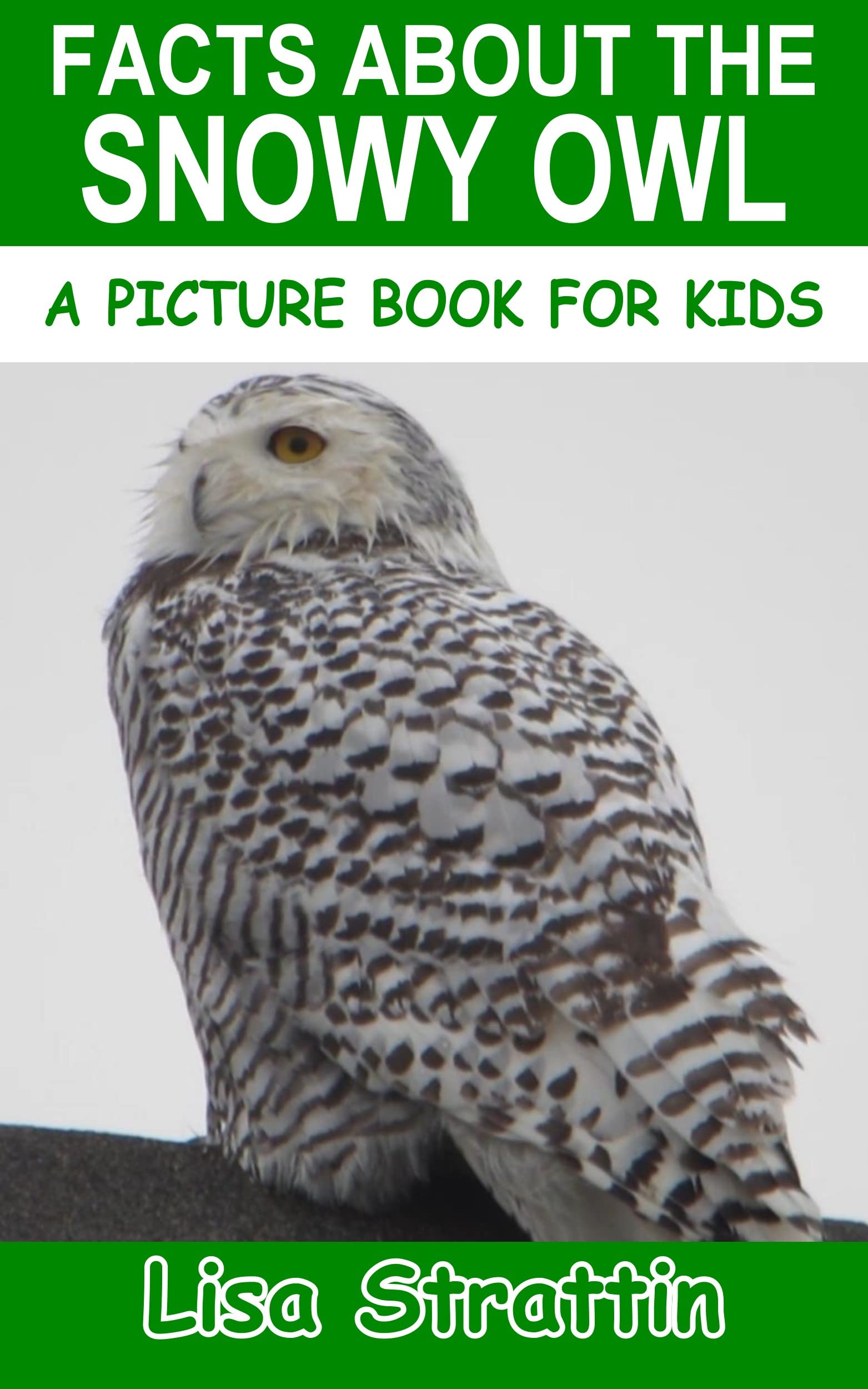 Facts About the Snowy Owl by Lisa Strattin | Goodreads