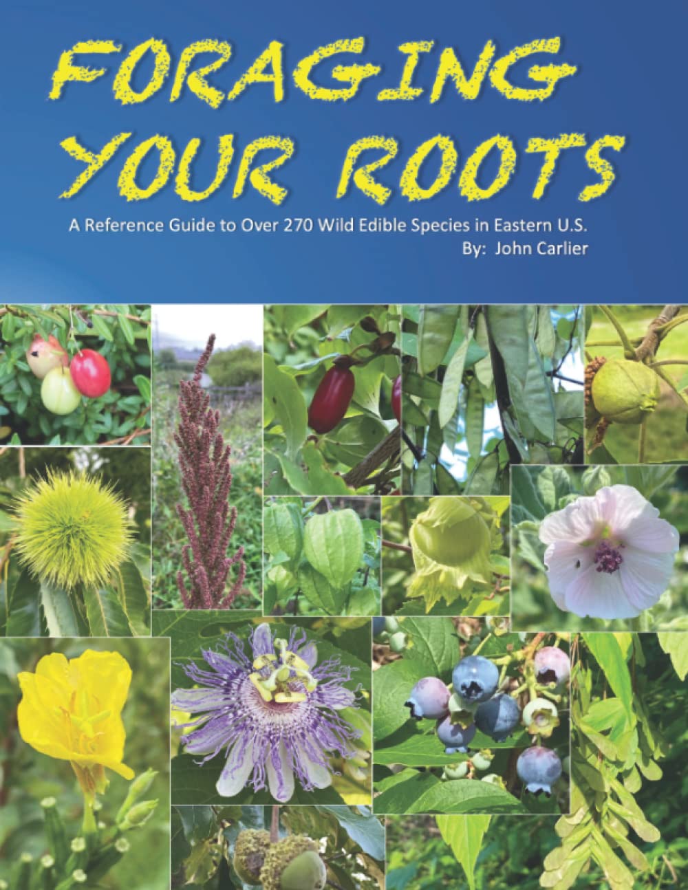 Foraging Your Roots by John Carlier | Goodreads