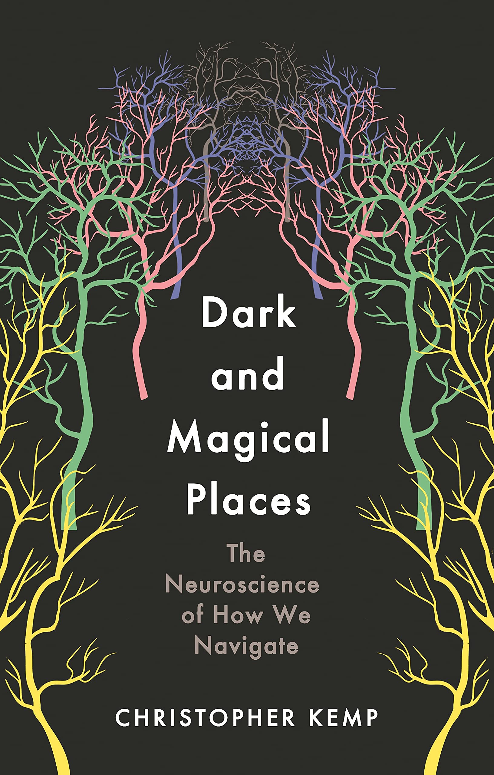 Dark and Magical Places: The Neuroscience of How We Navigate by ...