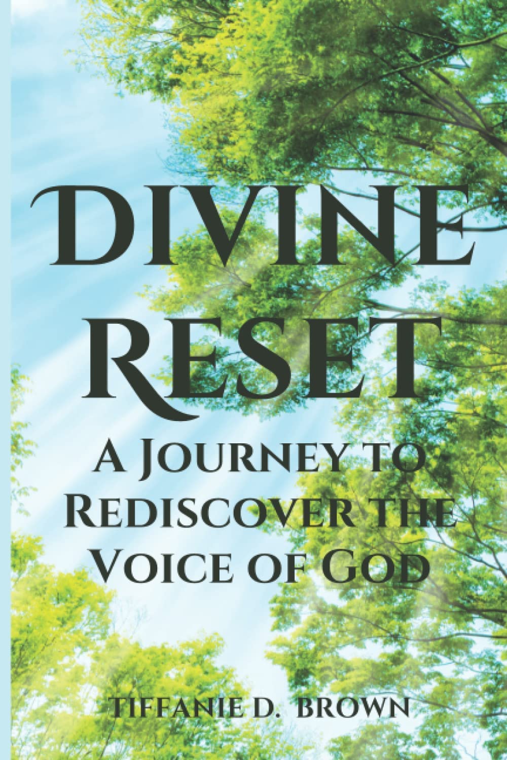 Divine Reset: A Journey to Rediscover the Voice of God by Tiffanie D ...
