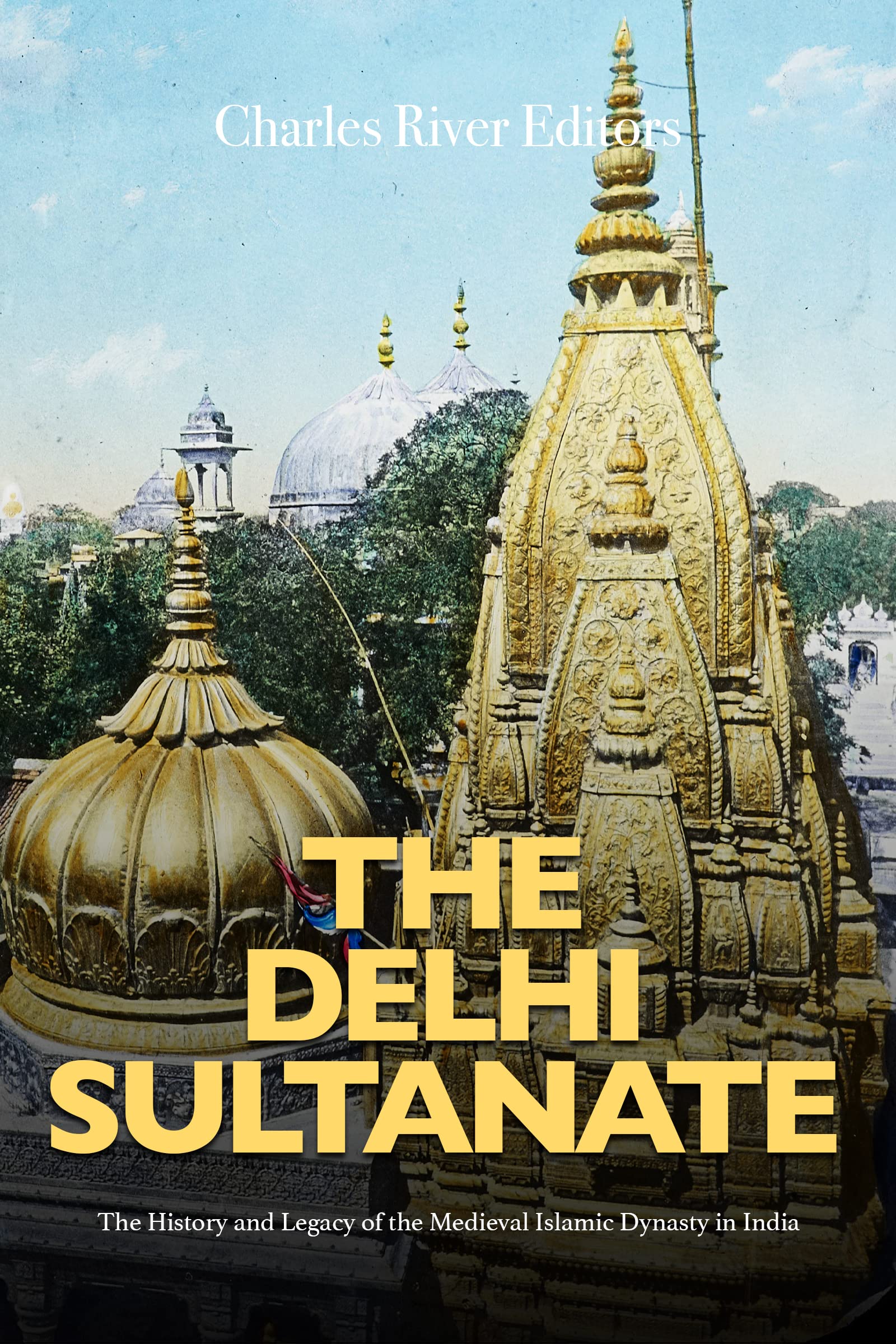 The Delhi Sultanate: The History and Legacy of the Medieval Islamic ...