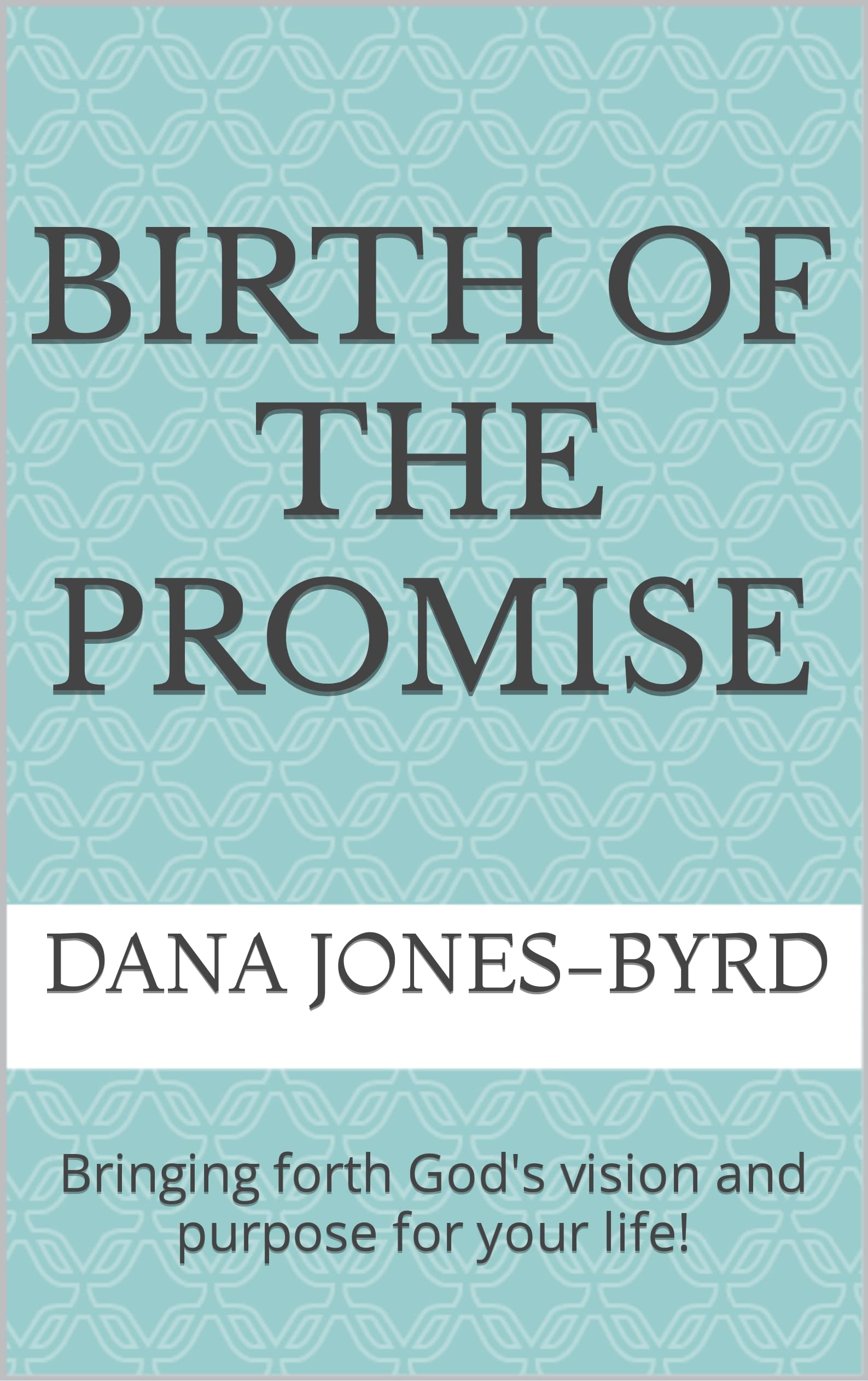 Birth of the Promise: Bringing forth God's vision and purpose for your life! by Dana Jones-Byrd ...