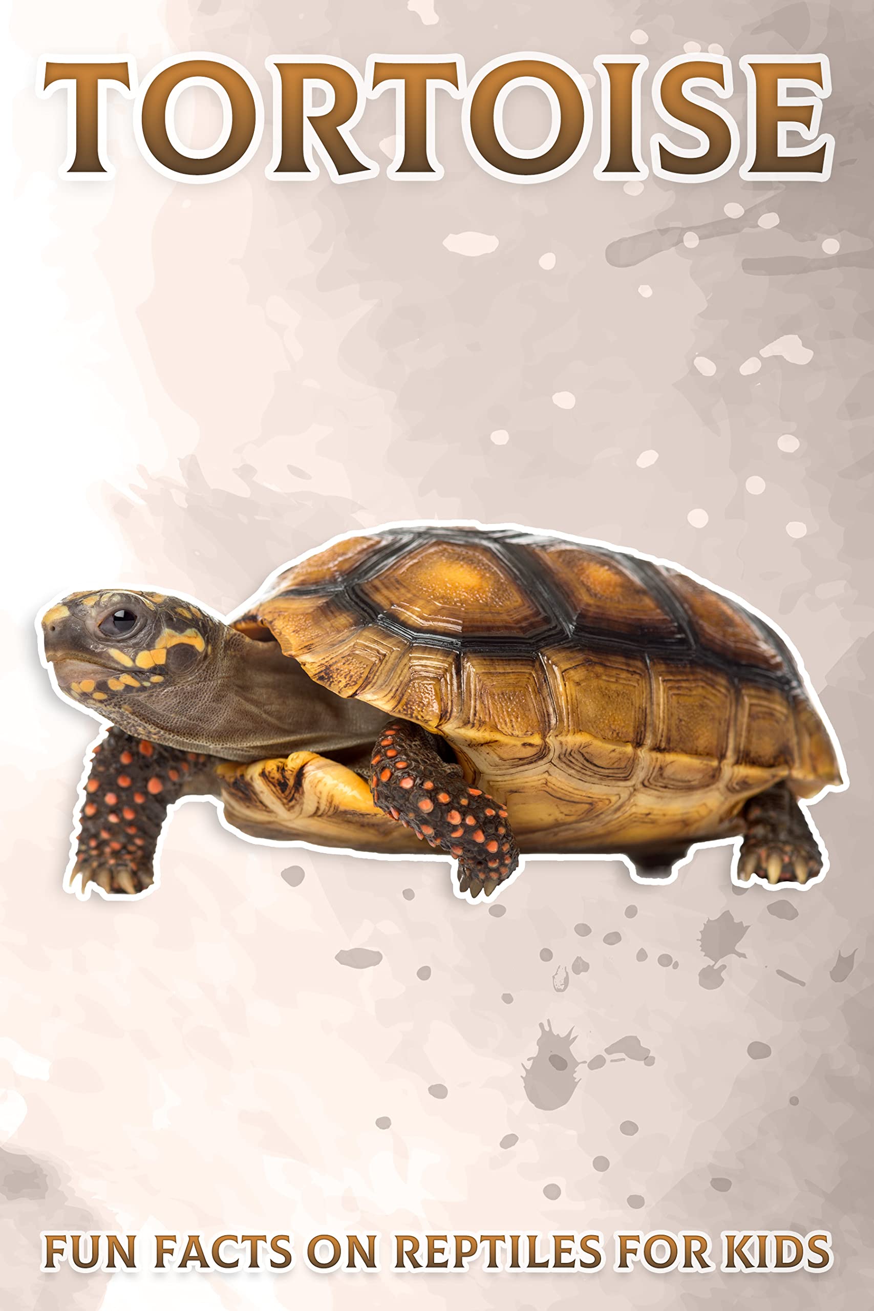 Tortoise: Fun Facts on Reptiles for Kids #3 by Michelle Hawkins | Goodreads