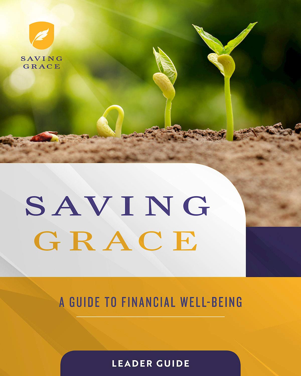 Saving Grace Leader Guide: A Guide to Financial Well-Being by Abingdon ...