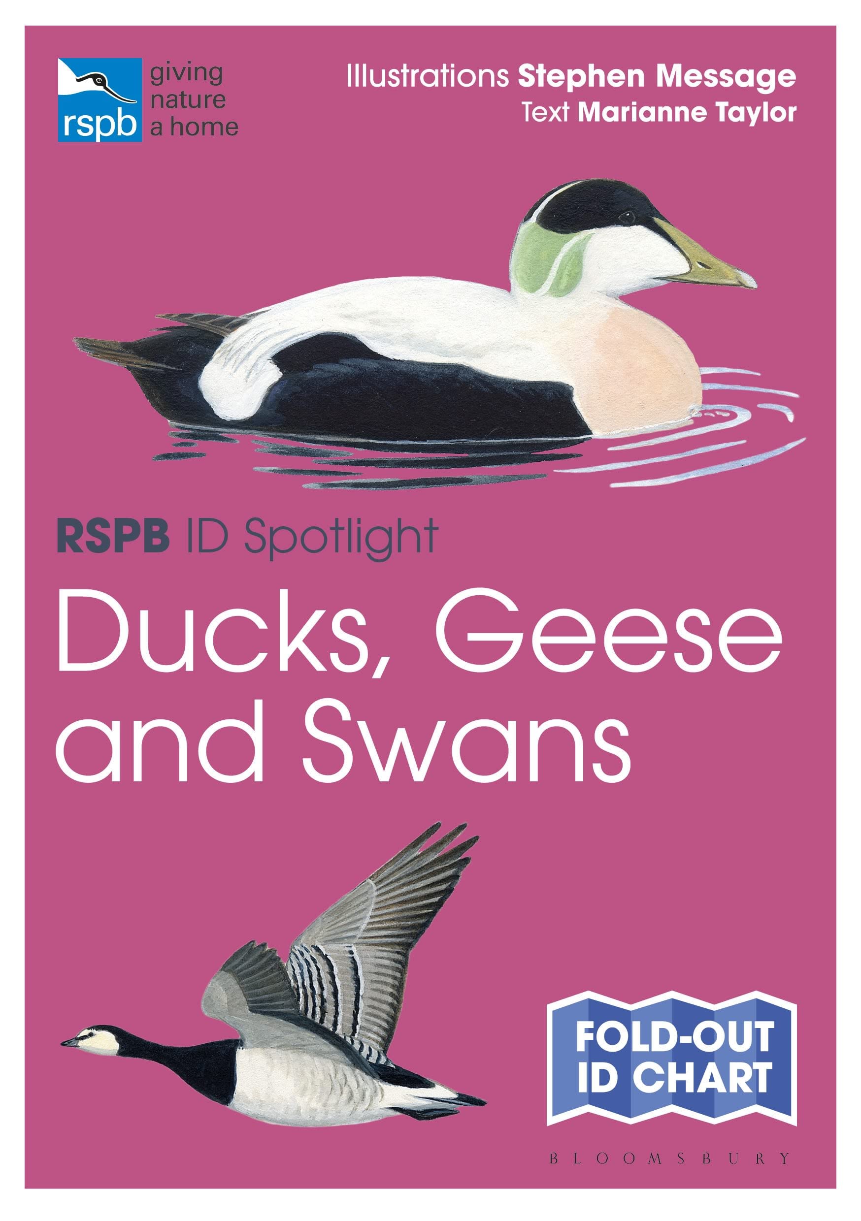 RSPB ID Spotlight - Ducks, Geese and Swans by Marianne Taylor | Goodreads
