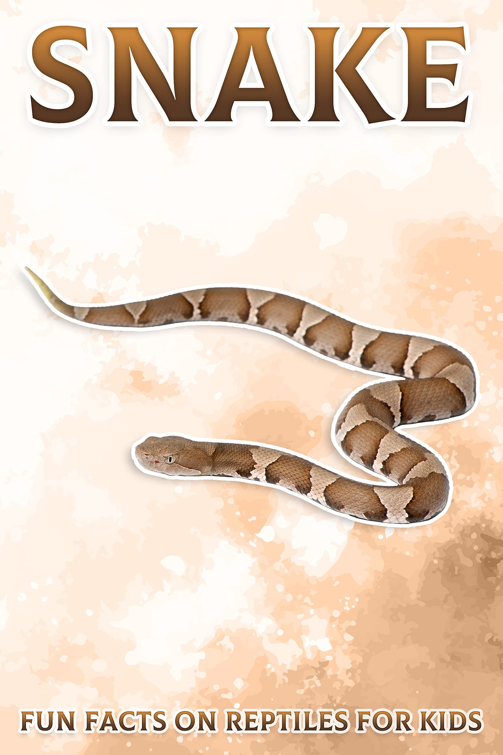 Snake: Fun Facts on Reptiles for Kids #5 by Michelle Hawkins | Goodreads