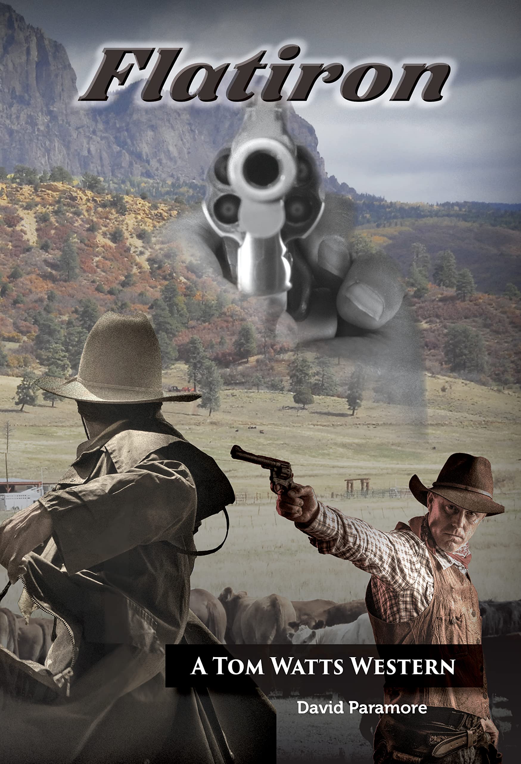 Flatiron: A Tom Watts Western by David Paramore | Goodreads