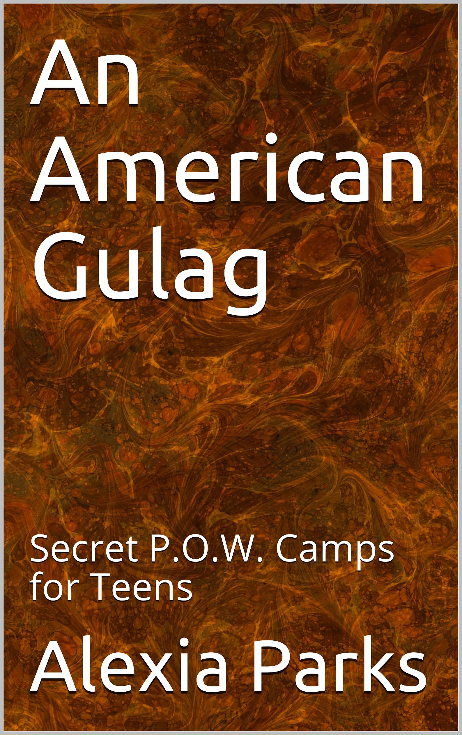 An American Gulag: Secret P.O.W. Camps for Teens by Alexia Parks ...