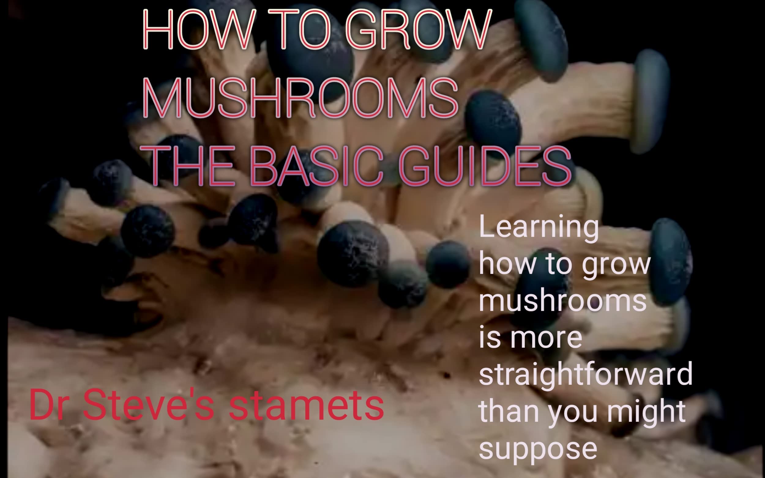 How to grow mushrooms the basic guides: Learning how to grow mushrooms ...