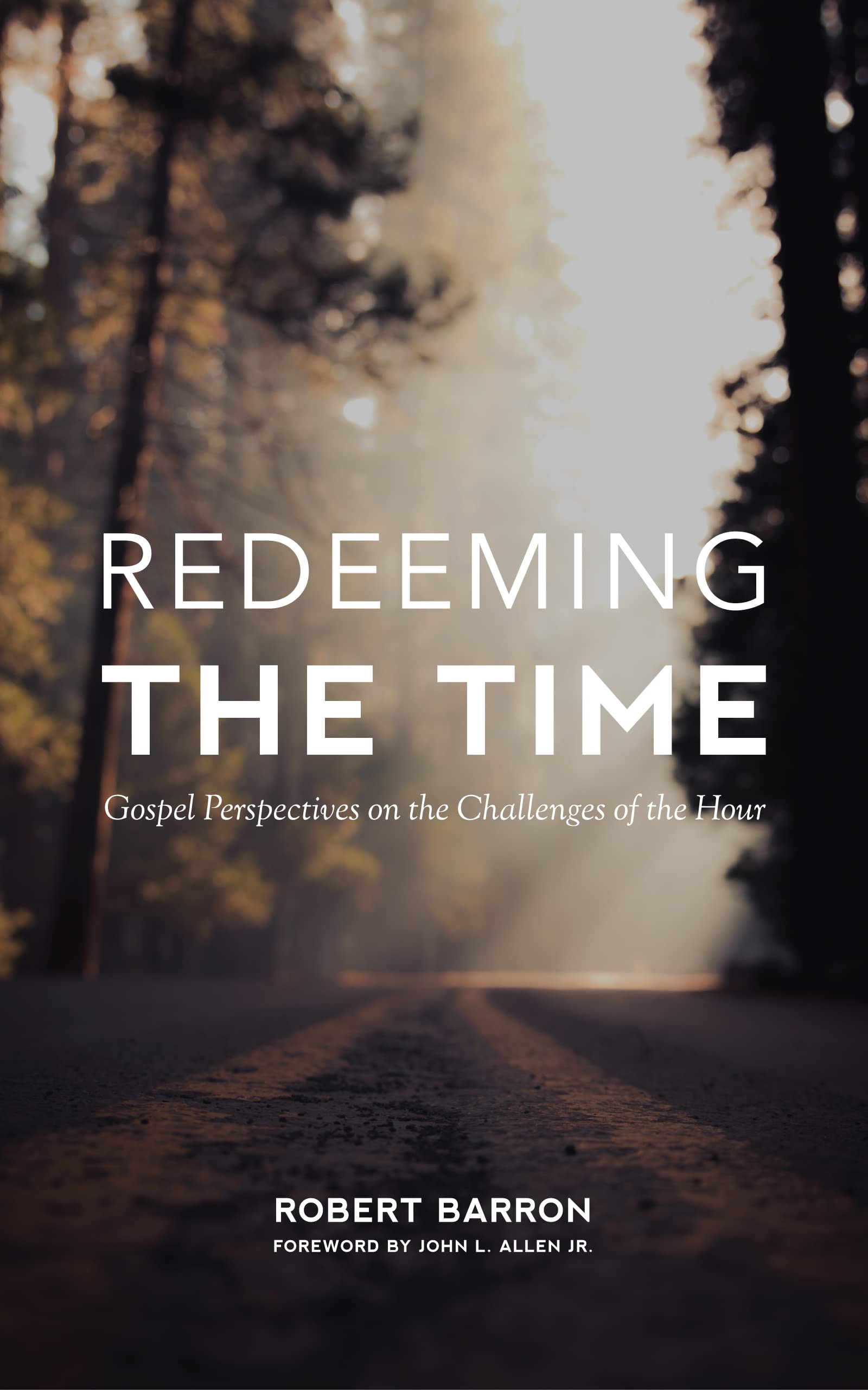 Redeeming the Time: Gospel Perspectives on the Challenges of the Hour ...