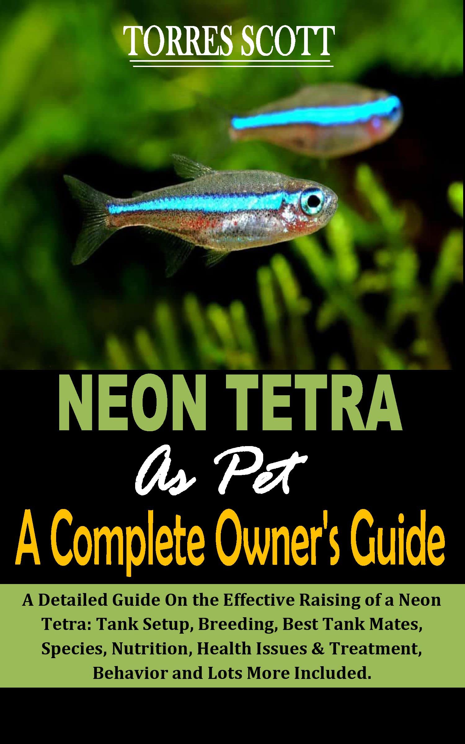 NEON TETRA As Pet A Complete Pet Owner’s Guide: A Detailed Guide On the ...