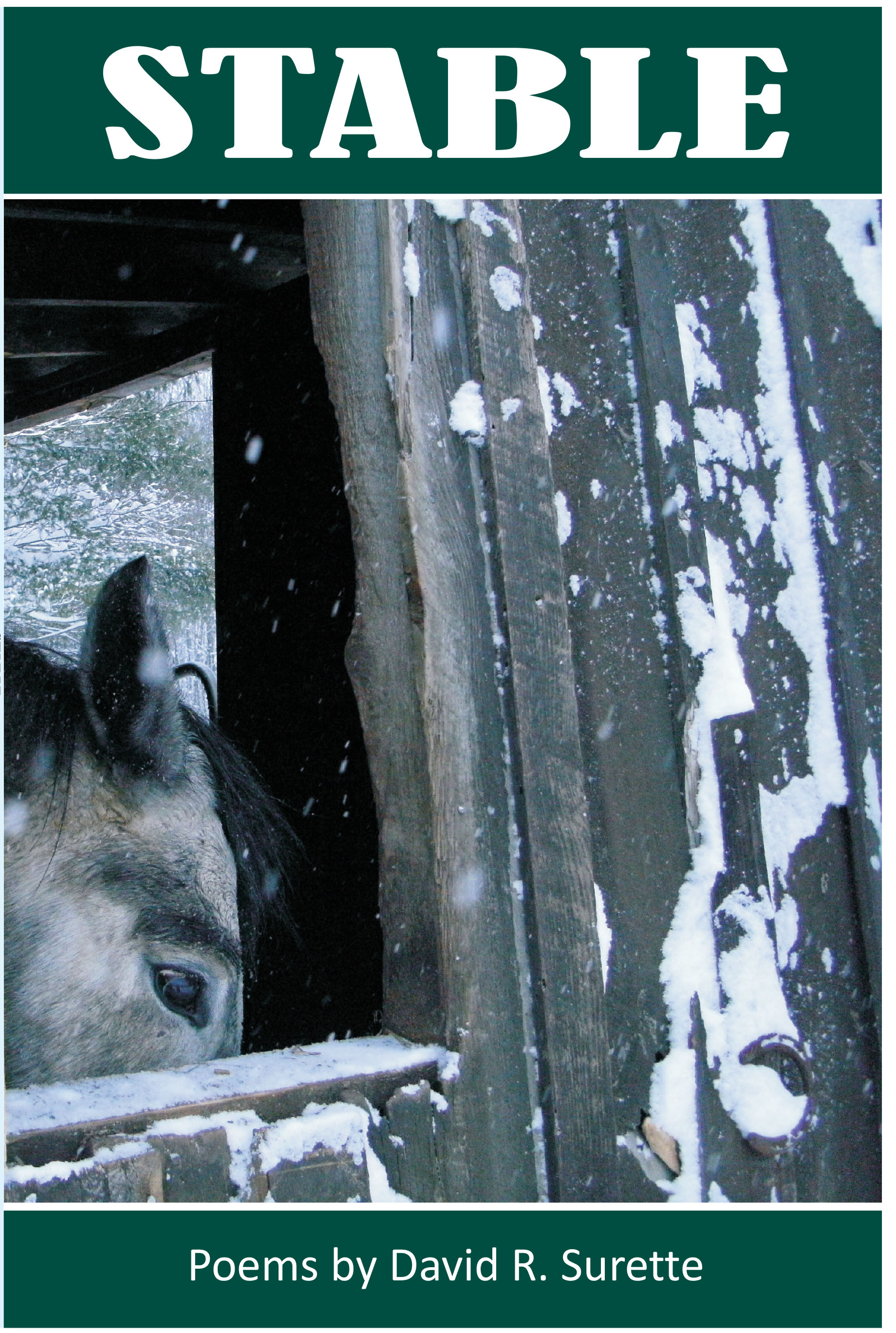 Stable by David R. Surette | Goodreads