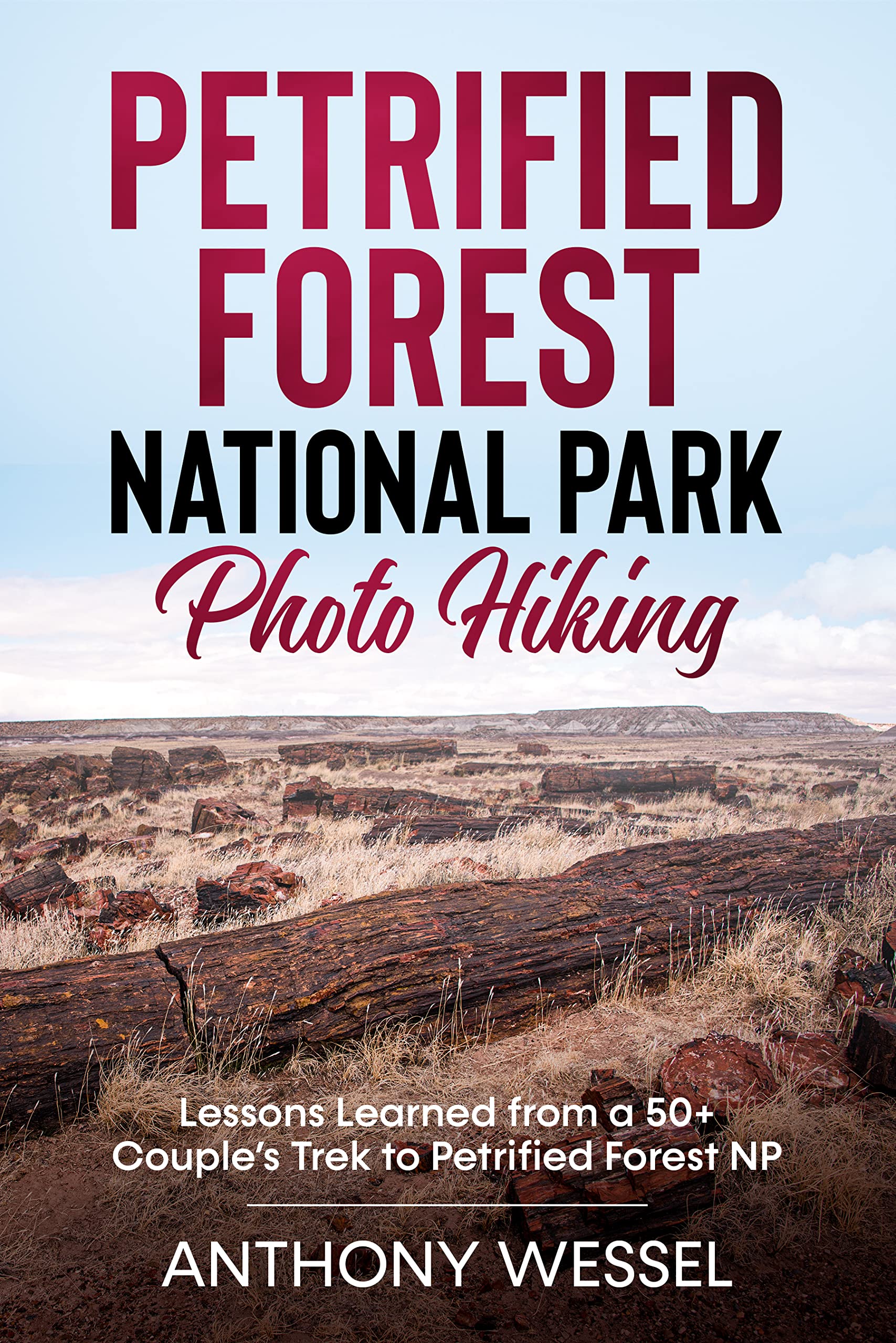 Petrified Forest National Park Photo Hiking: Lessons Learned from a 50 ...